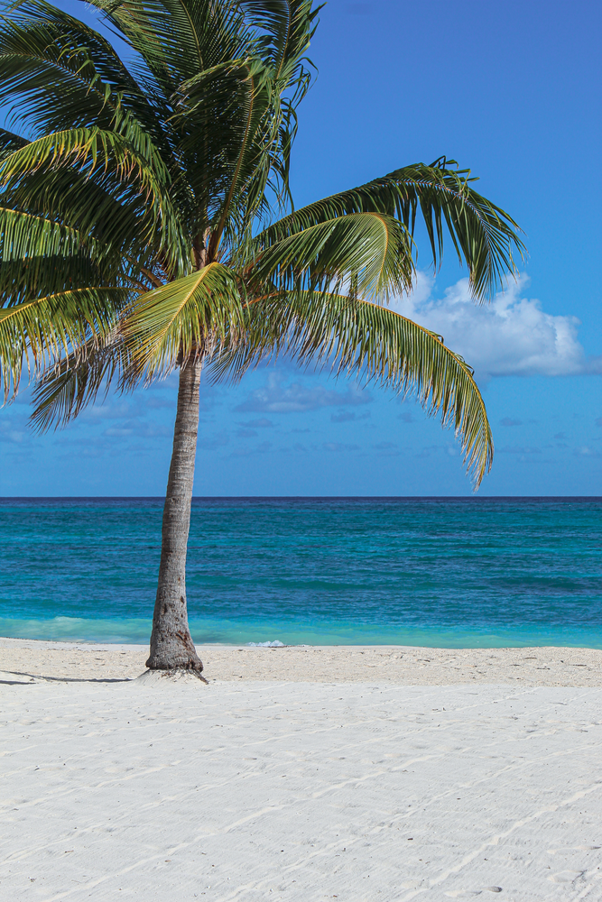 Tropical Beach Photos, Download The BEST Free Tropical Beach Stock ...