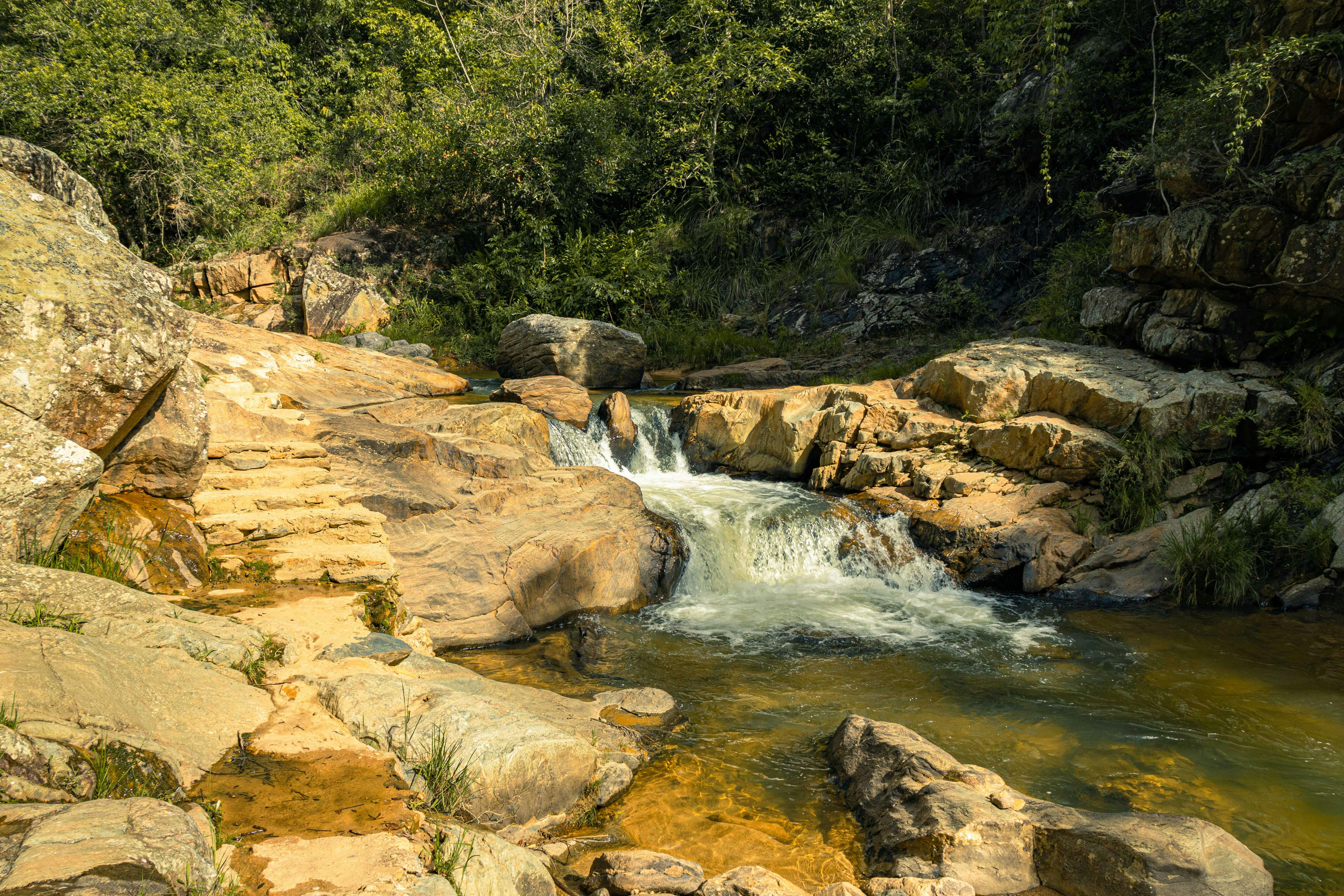 Rocky Cascade on River in Forest · Free Stock Photo
