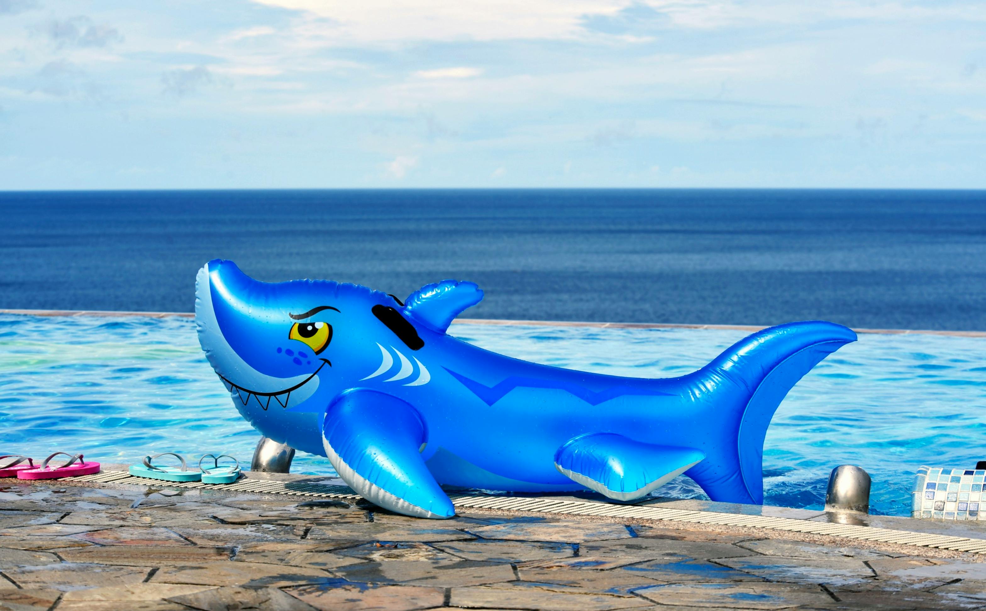A blue inflatable shark toy near a pool · Free Stock Photo