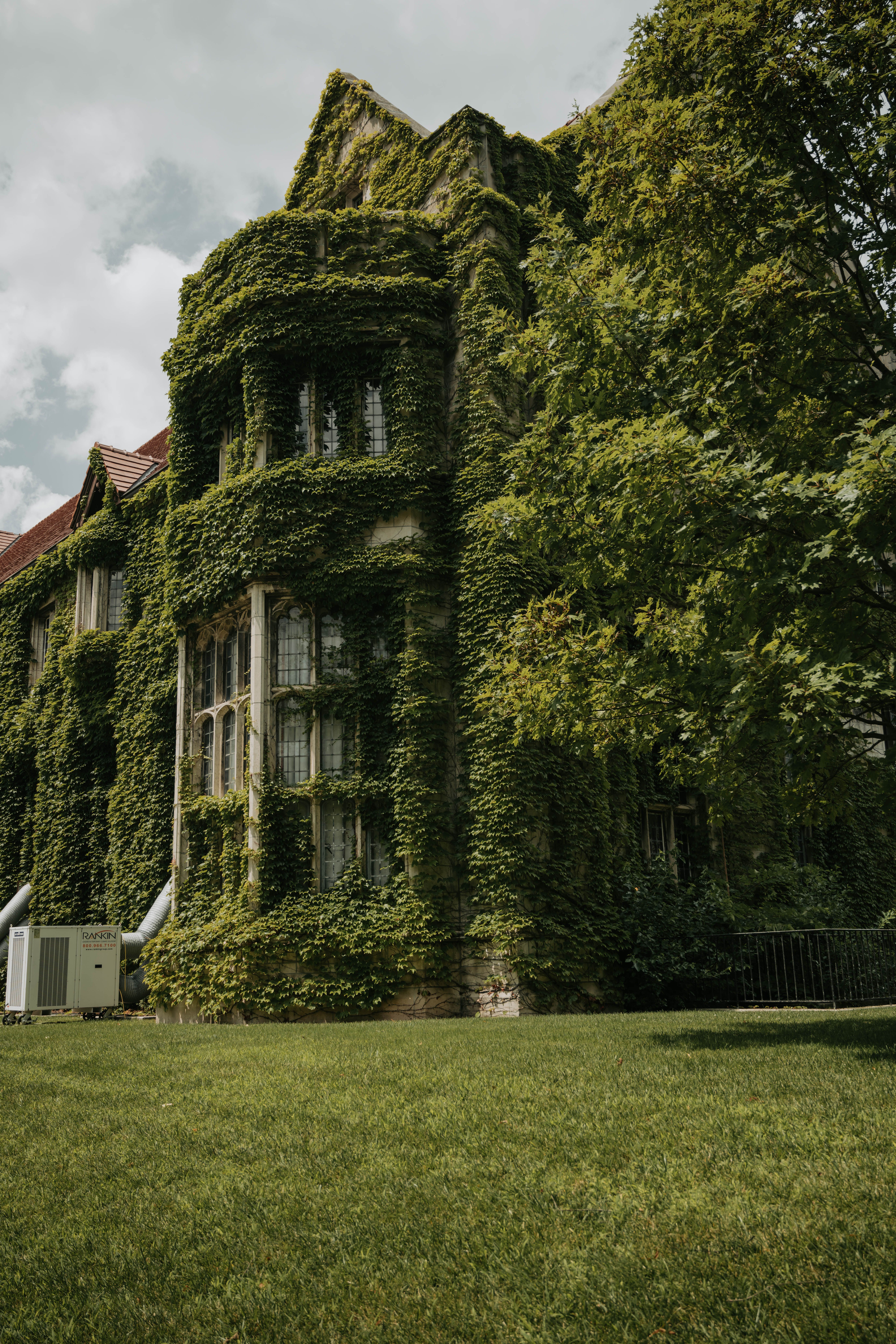 Ivy on a Building, University of Chicago · Free Stock Photo