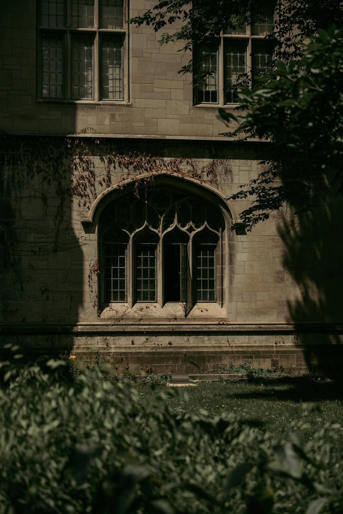 Arched Window Photos, Download The BEST Free Arched Window Stock Photos ...