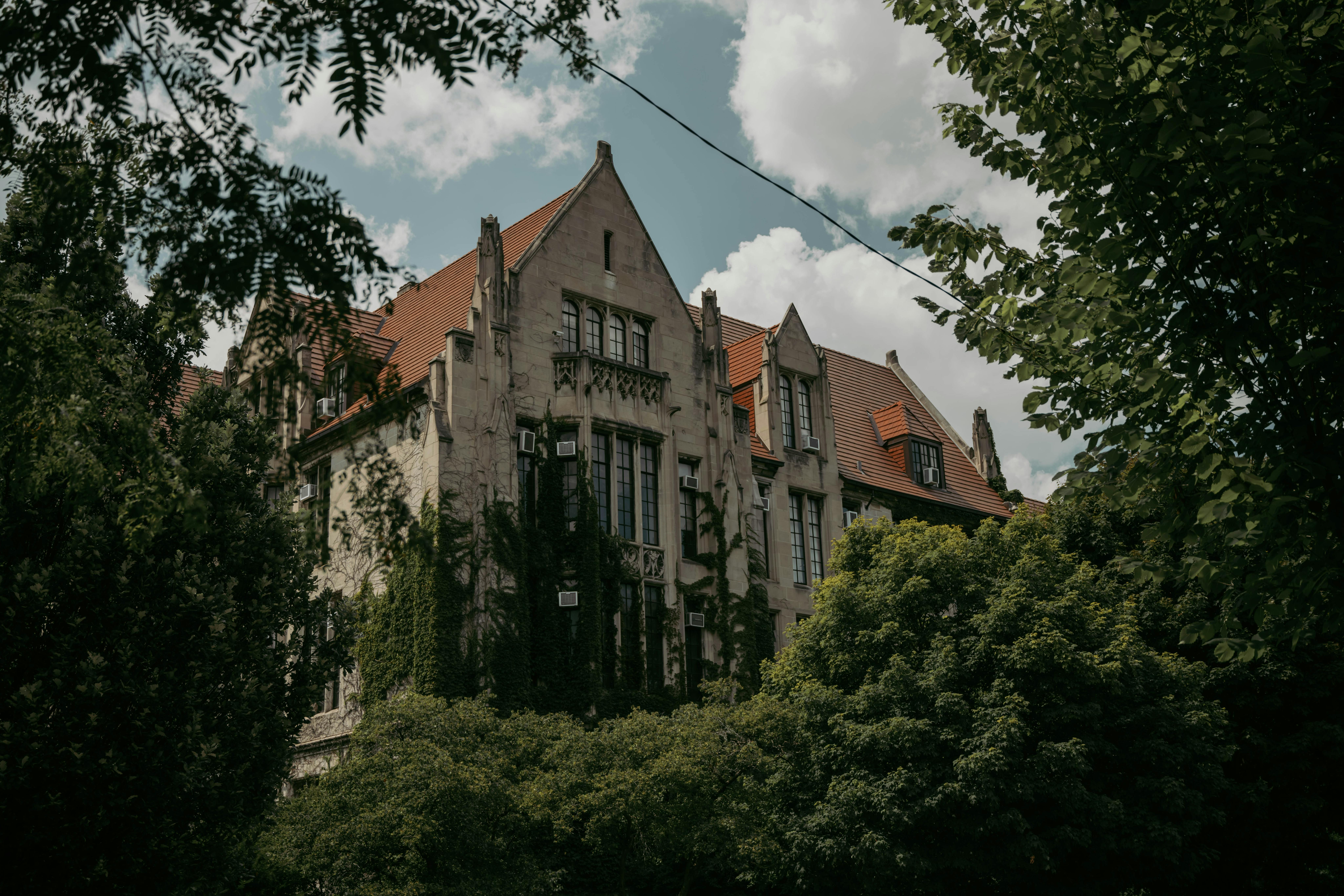 Foto de stock gratuita sobre al aire libre, américa del norte, árbol ...
