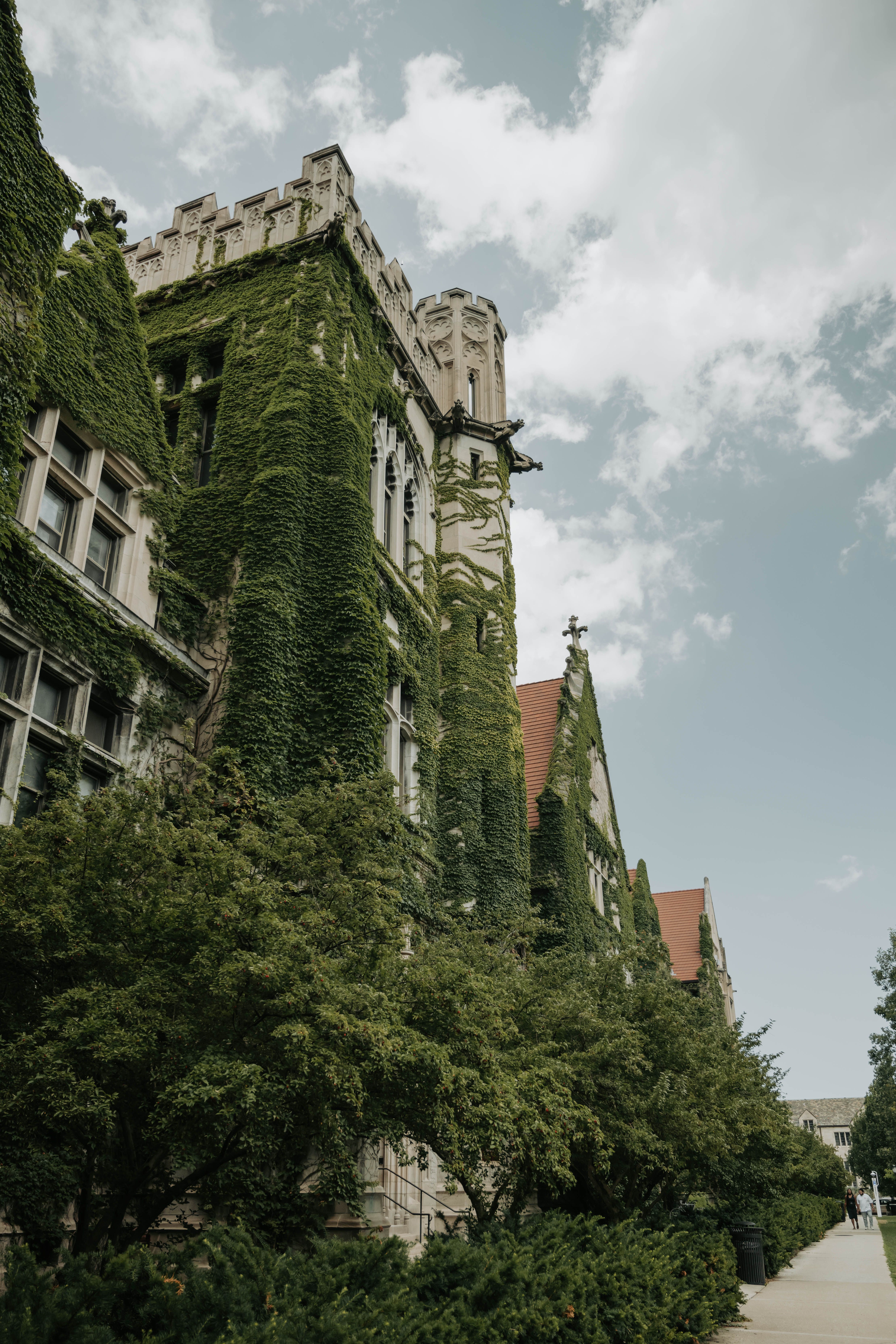 Ivy on a Building · Free Stock Photo