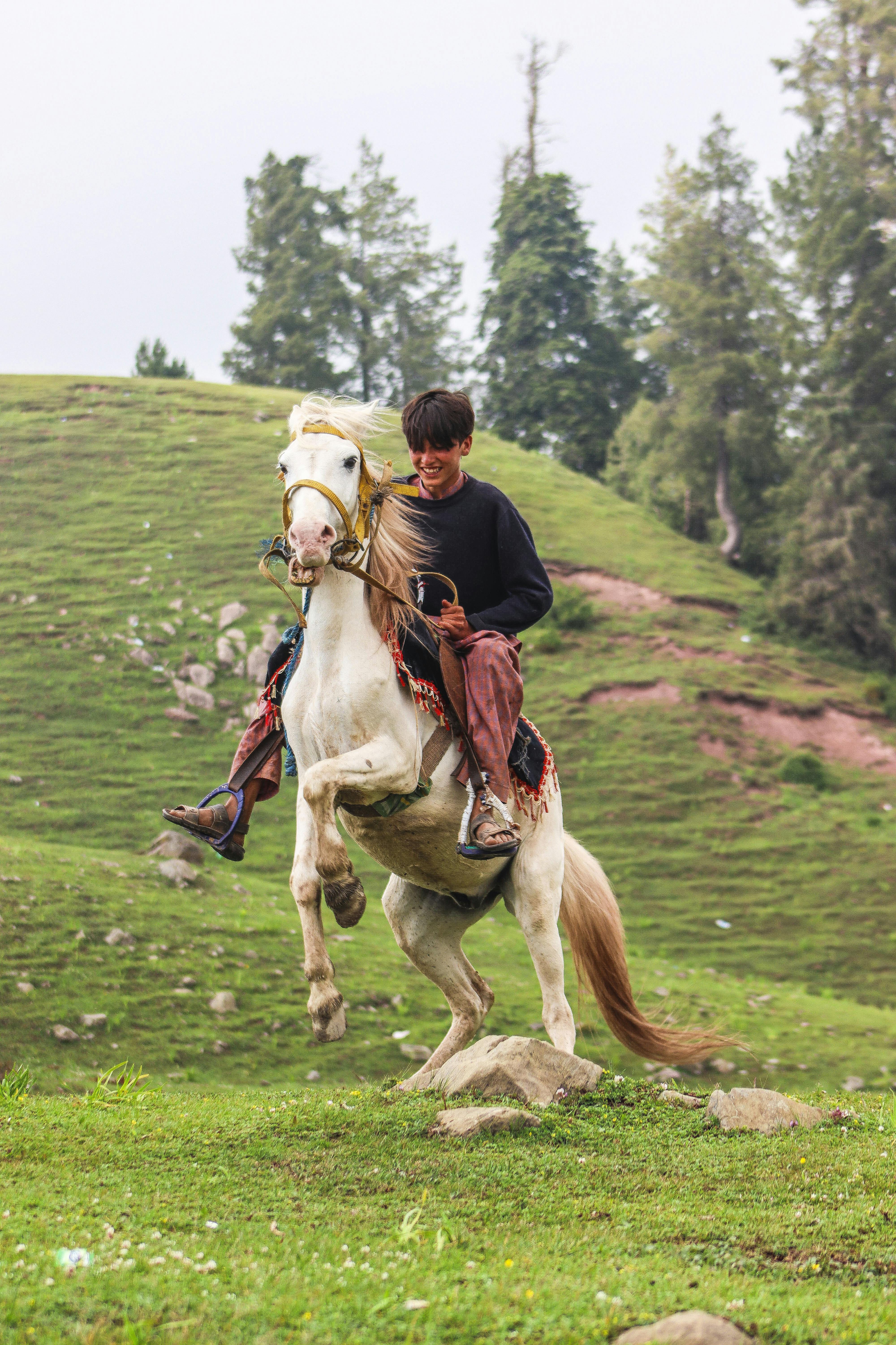 A man riding a horse in the mountains · Free Stock Photo