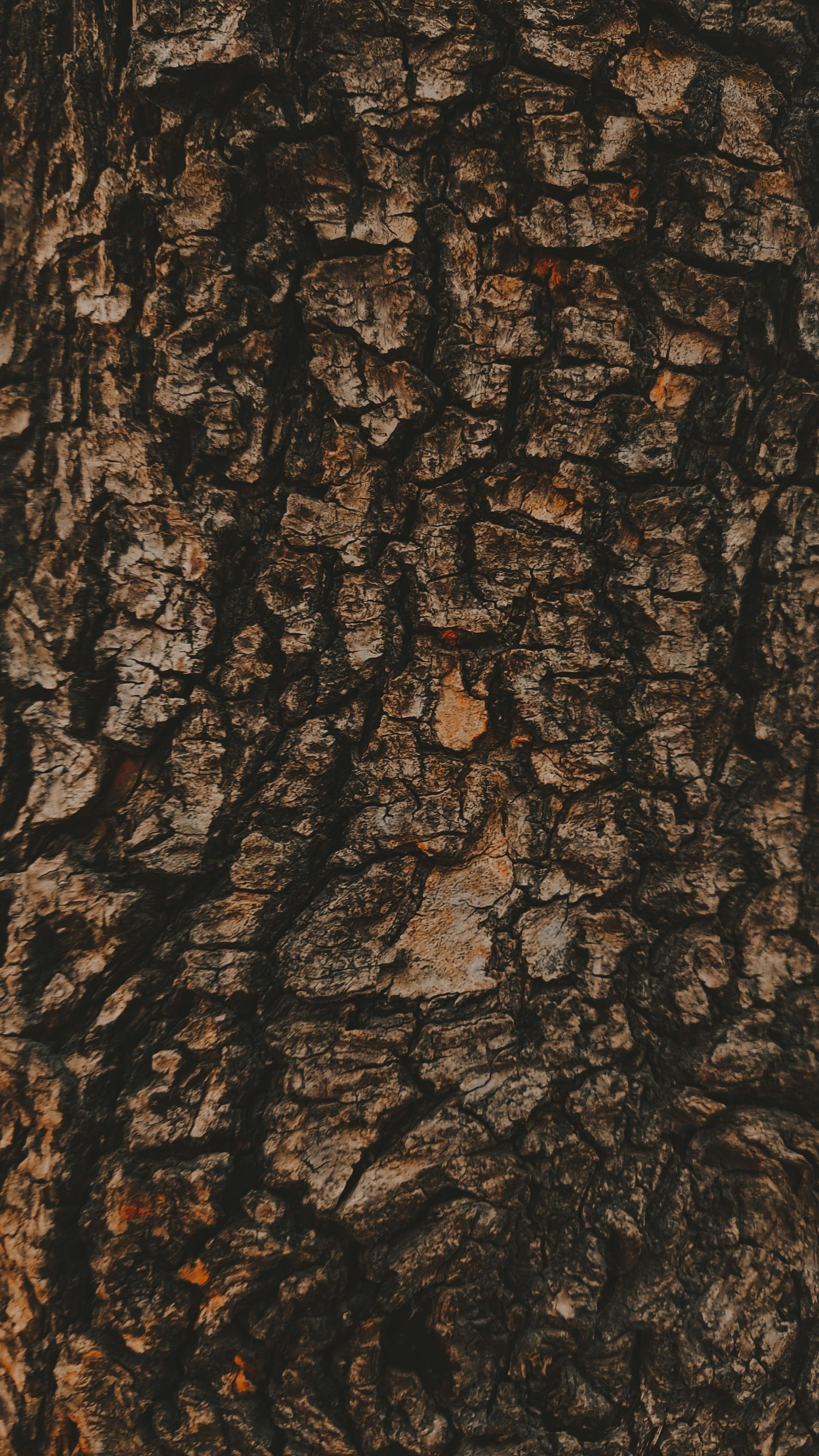 Ammar Khan - Photography