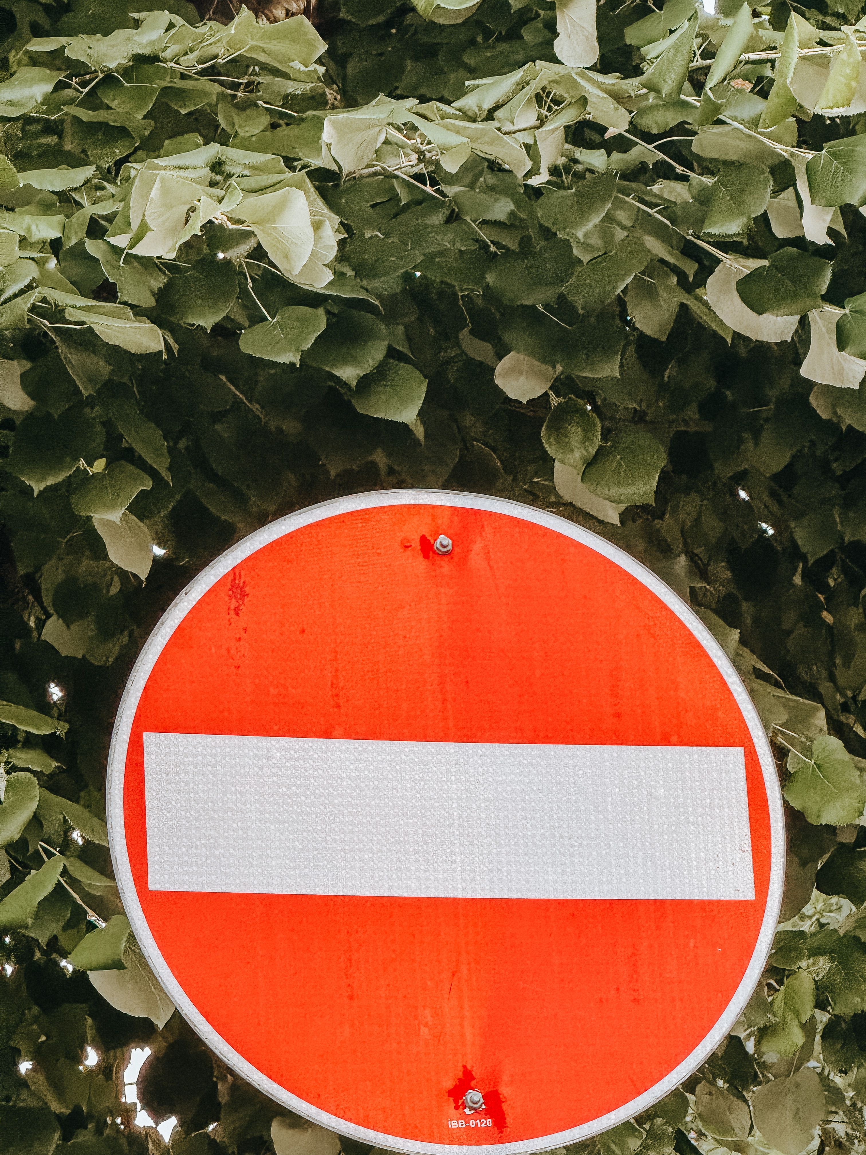 Round-Shaped Red Sign by the Leaves · Free Stock Photo