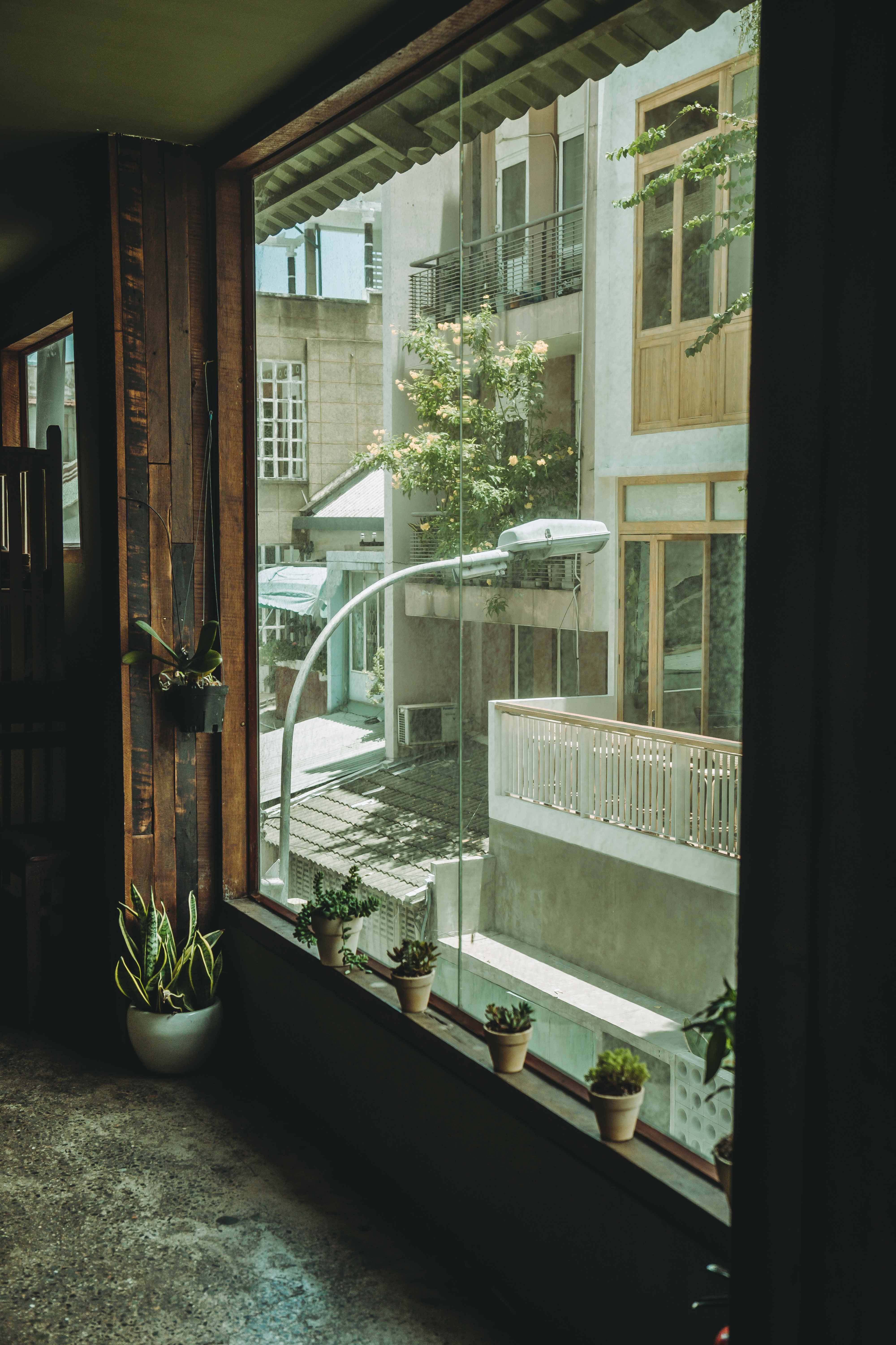 A window with plants and a view of the city · Free Stock Photo