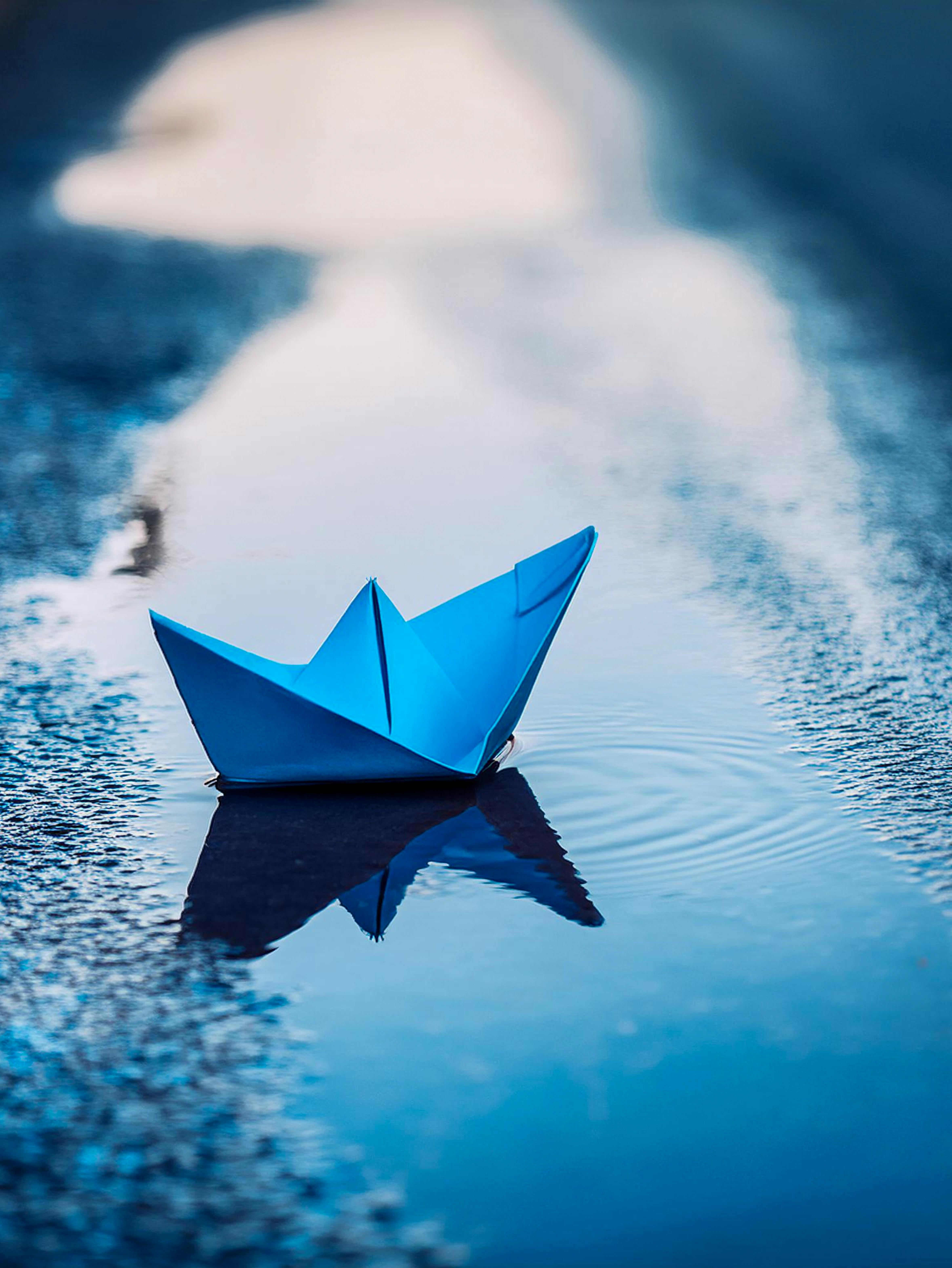 Foto de stock gratuita sobre afición, agua, agua de lluvia, al aire libre, armonía, arte ...