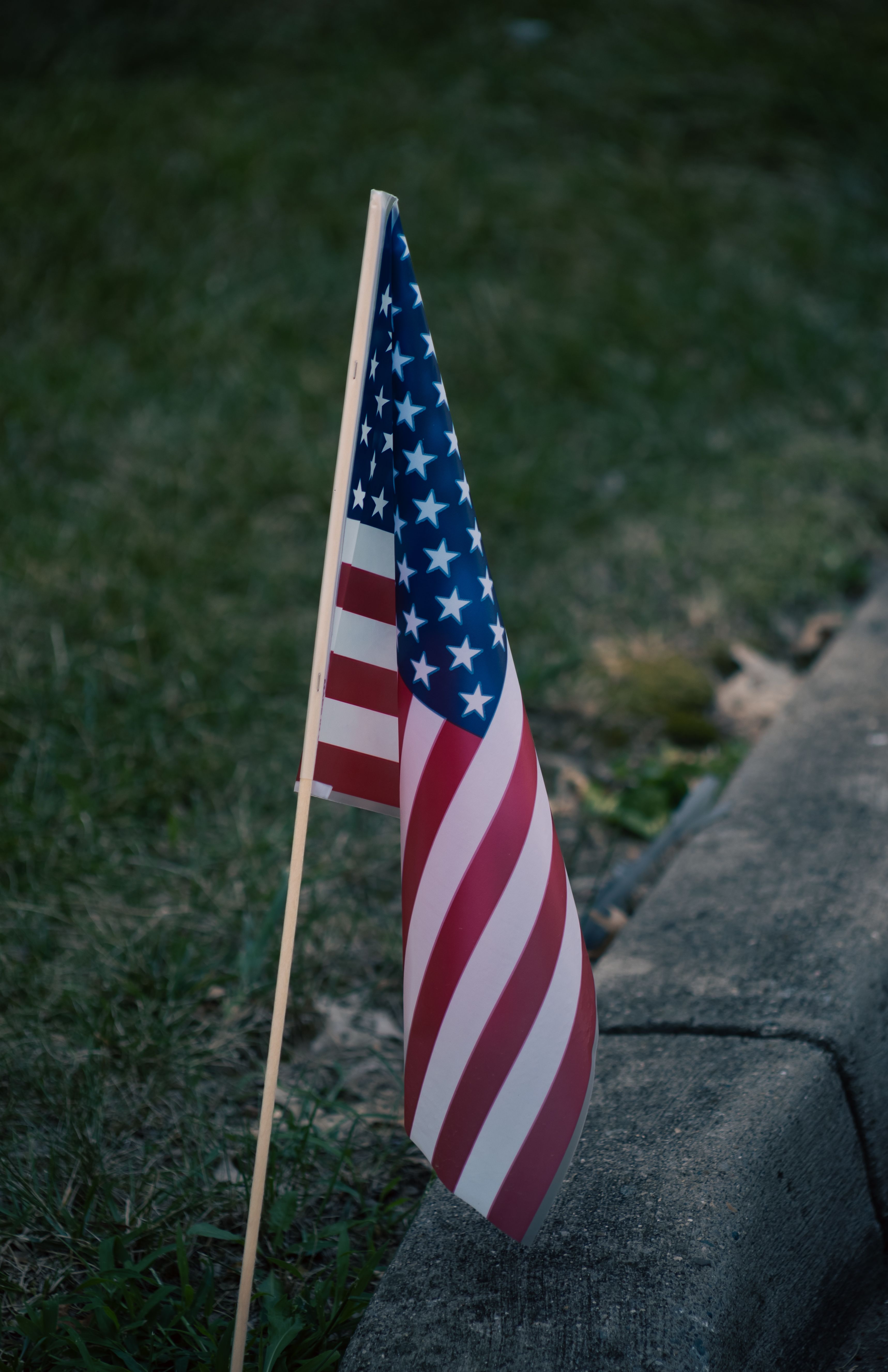 A small american flag on a stick · Free Stock Photo
