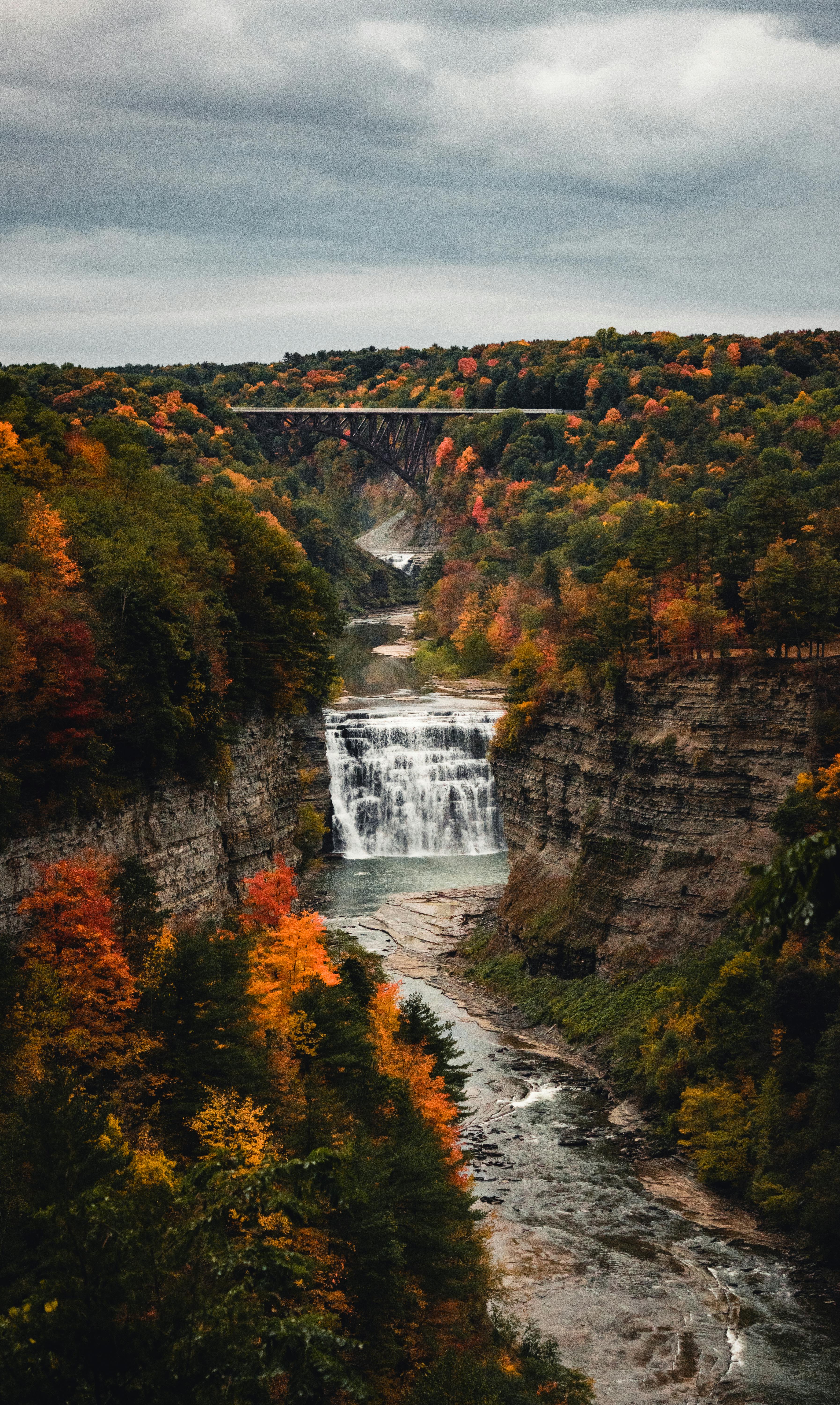 Forest around Middle Falls in USA in Autumn · Free Stock Photo
