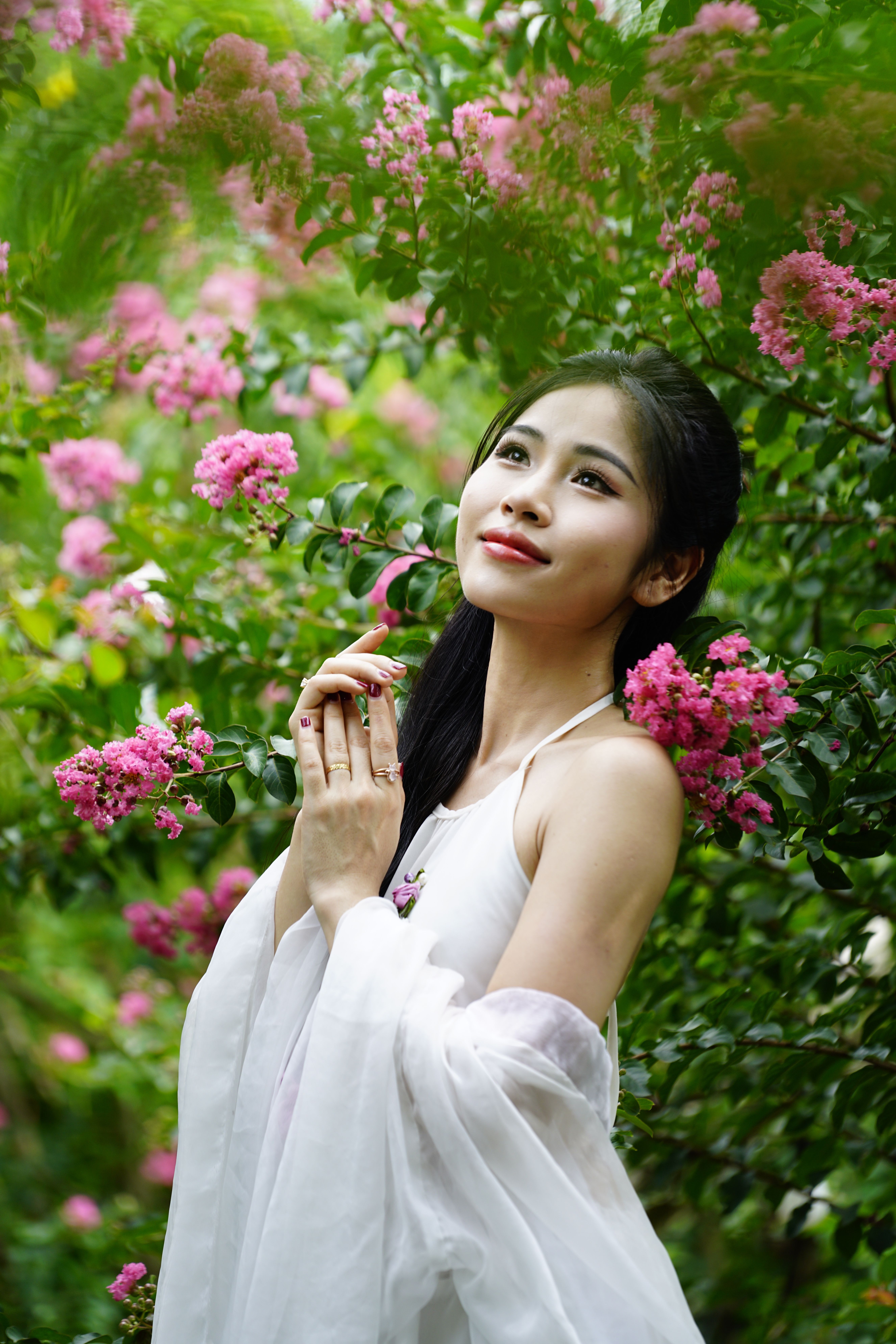 Shrun Photos, Download The BEST Free Shrun Stock Photos & HD Images