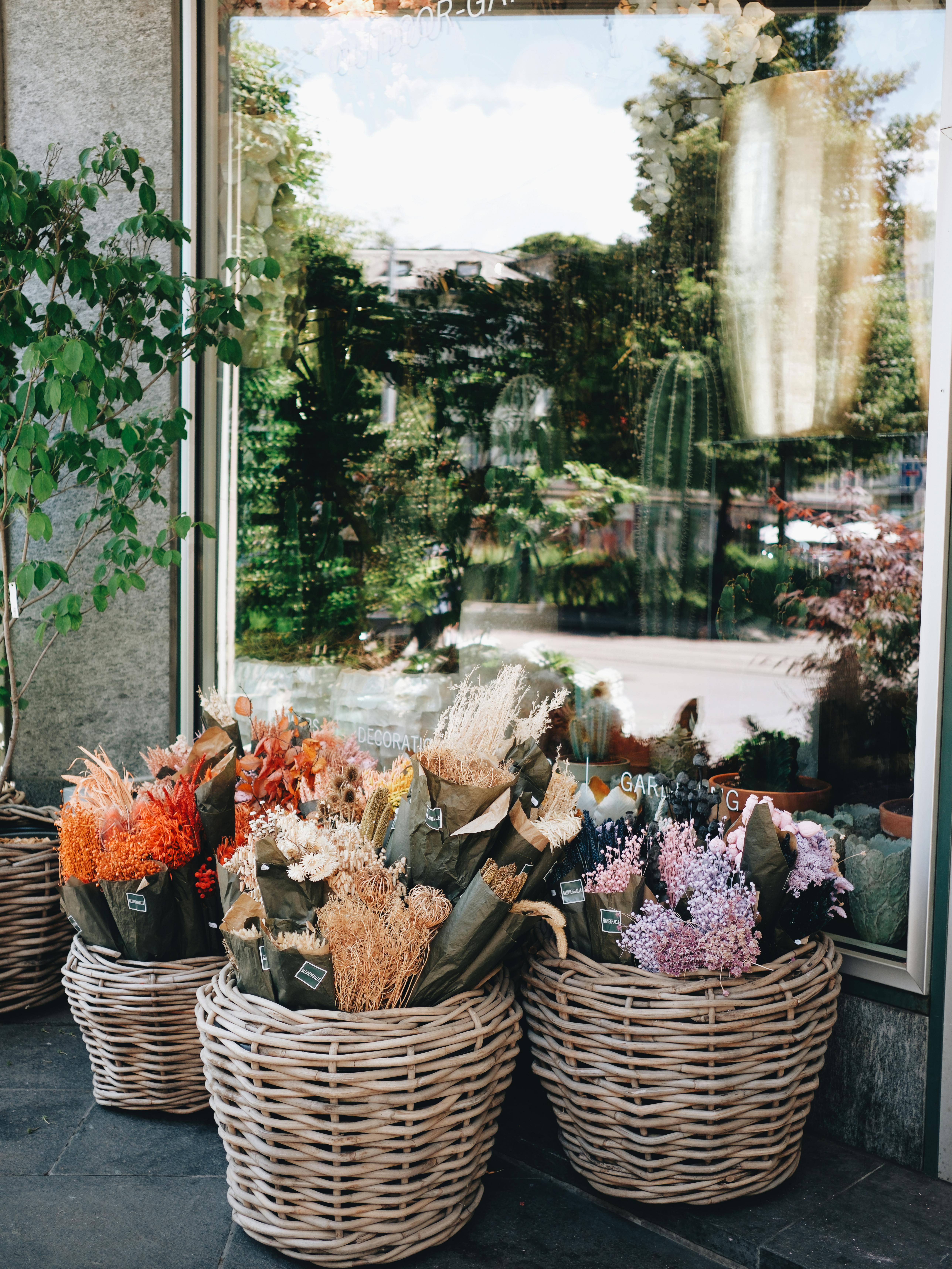 Imagine de stoc gratuită cu afișare artistică, afișarea ferestrei ...