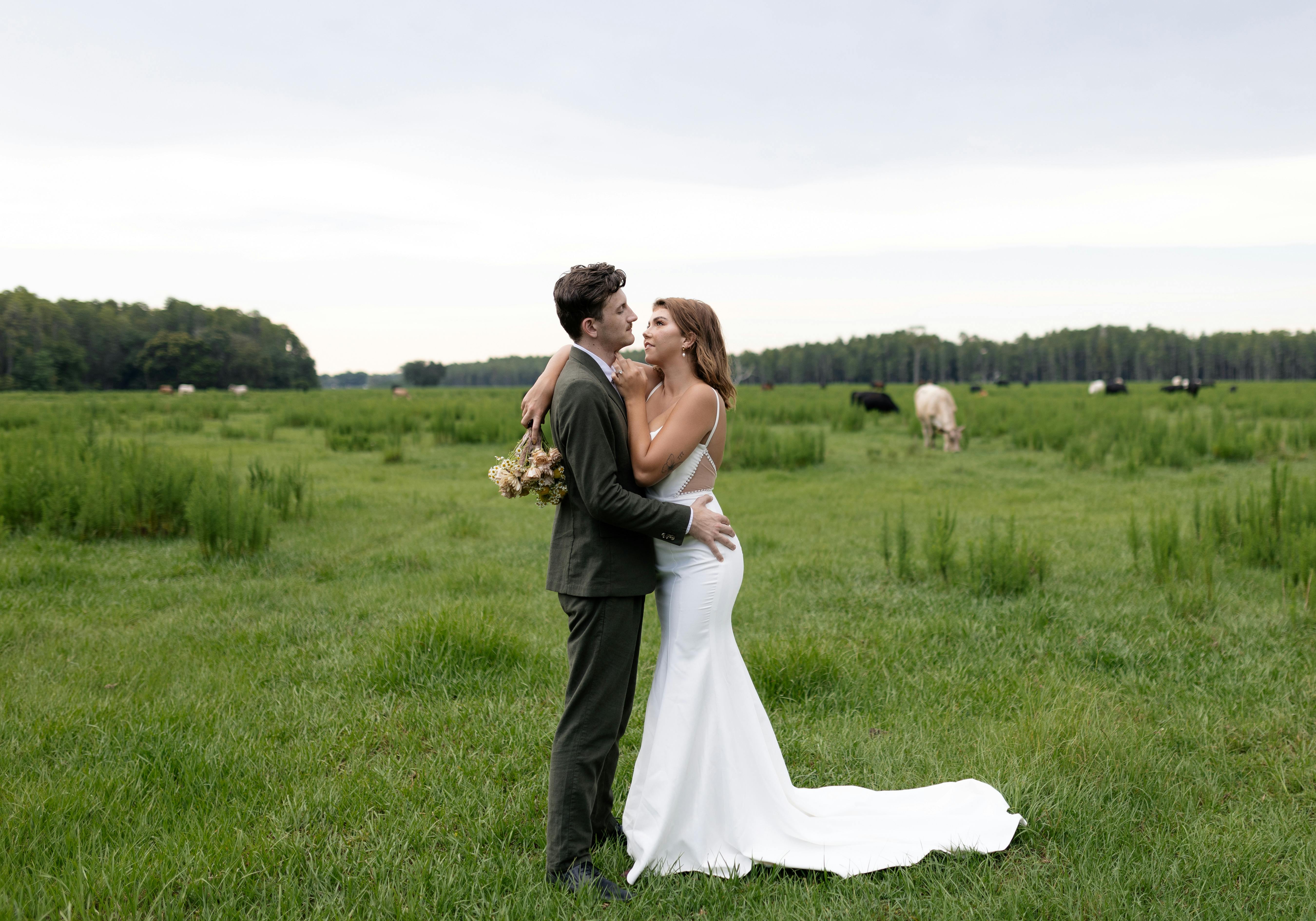 A bride and groom standing in a field with cows · Free Stock Photo