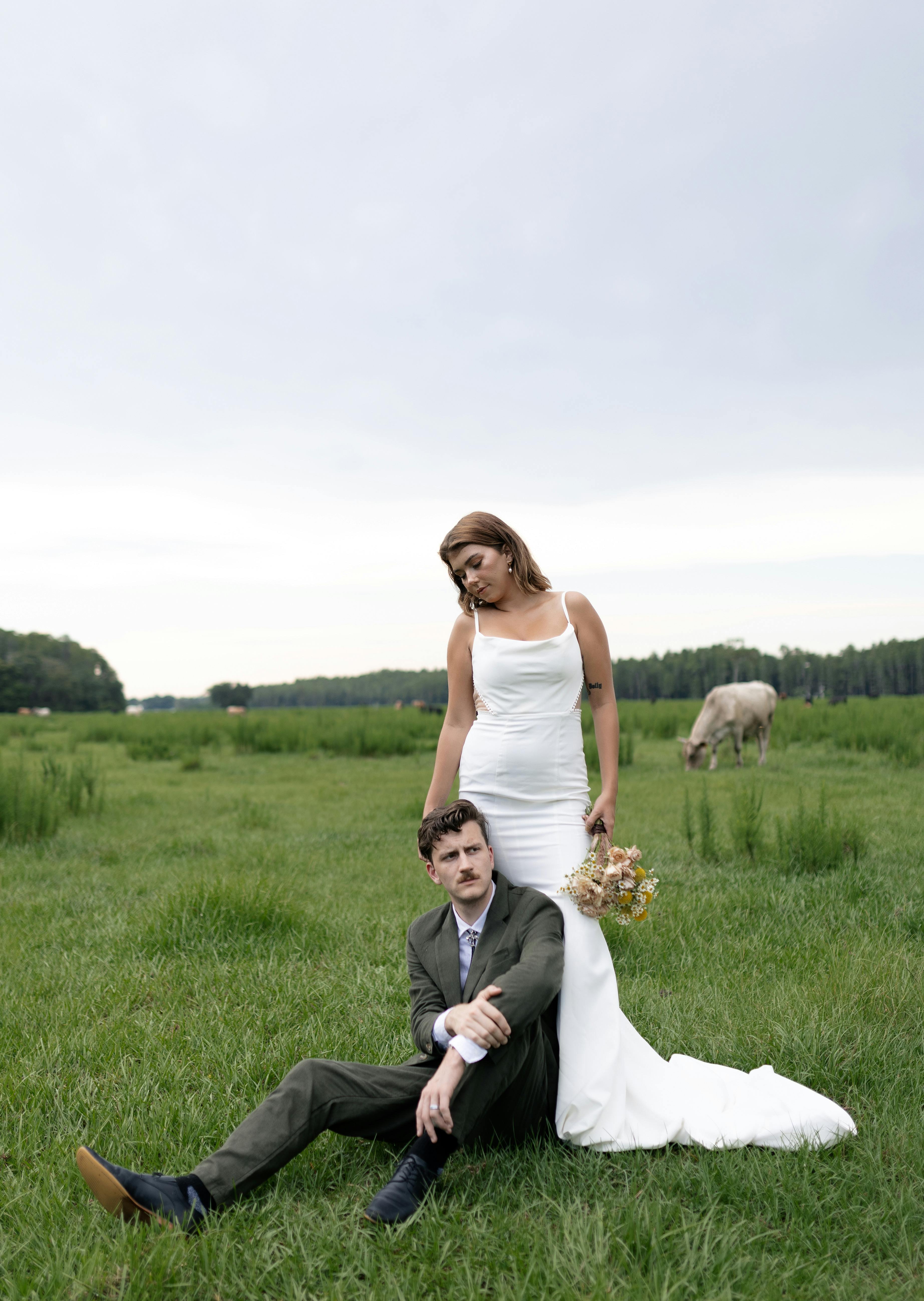 A bride and groom sitting in a field with cows · Free Stock Photo