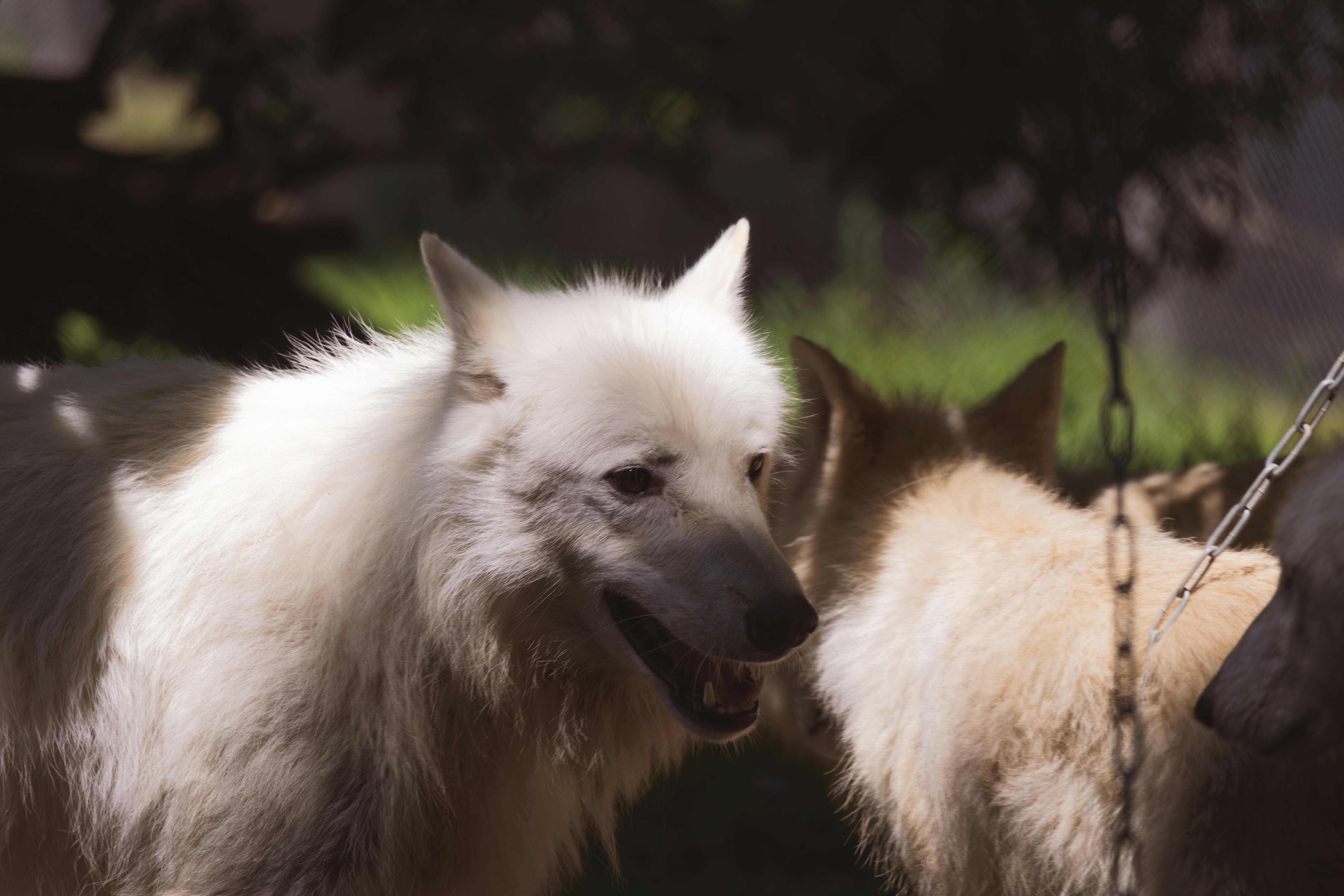 Pack Nature Photos, Download The BEST Free Pack Nature Stock Photos ...