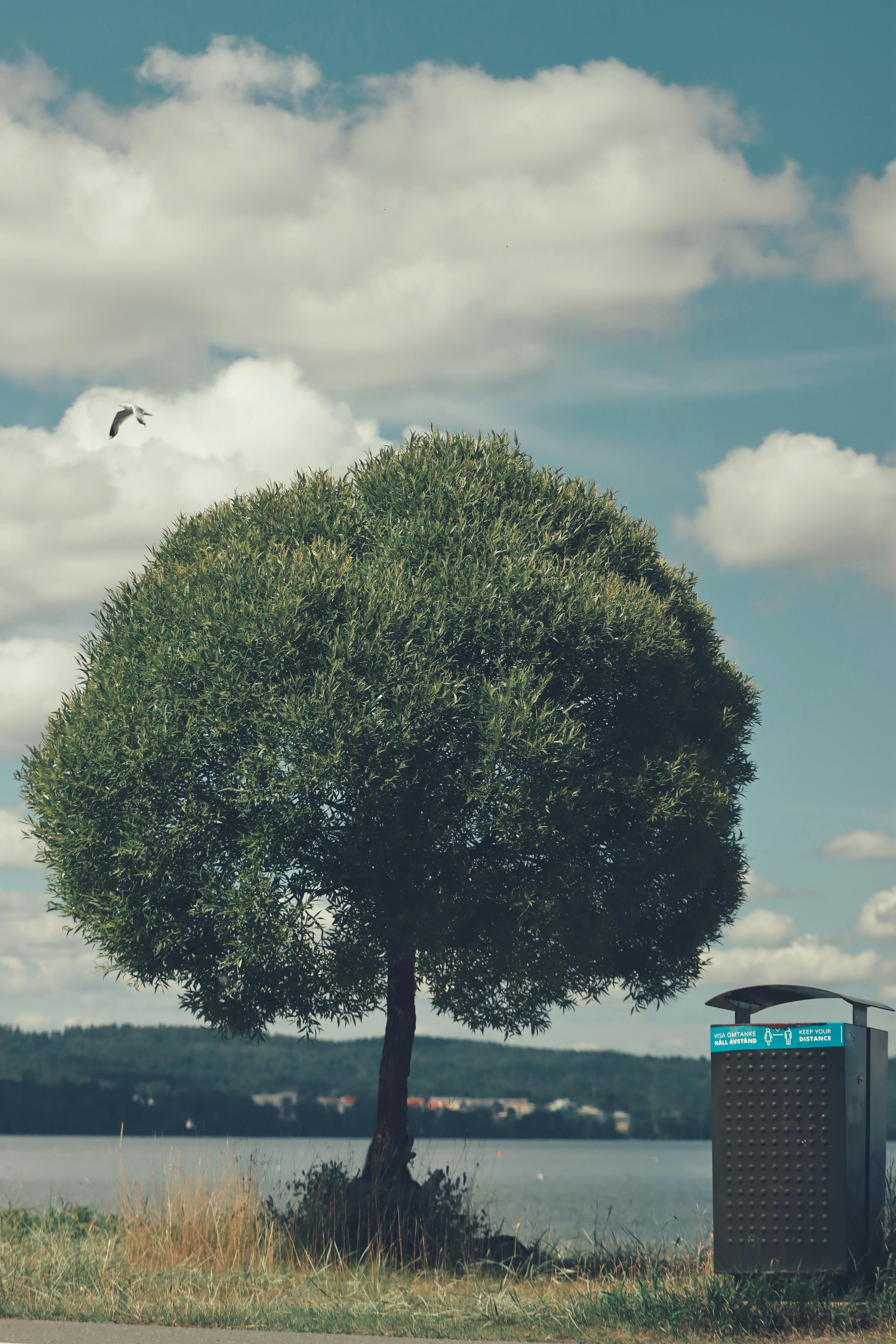 July Nature Photos Photos, Download The BEST Free July Nature Photos ...