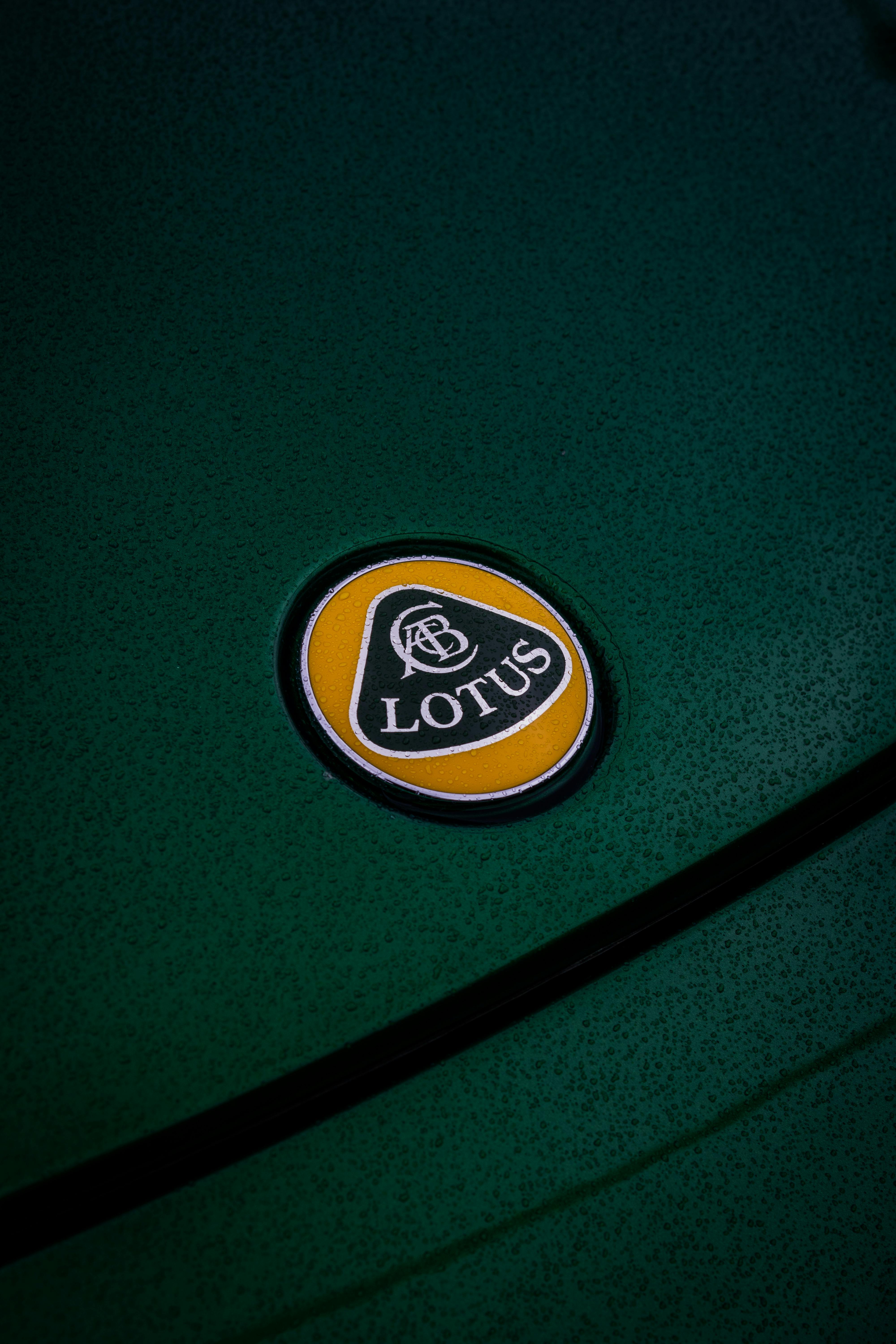 Lotus Cars logo · Free Stock Photo