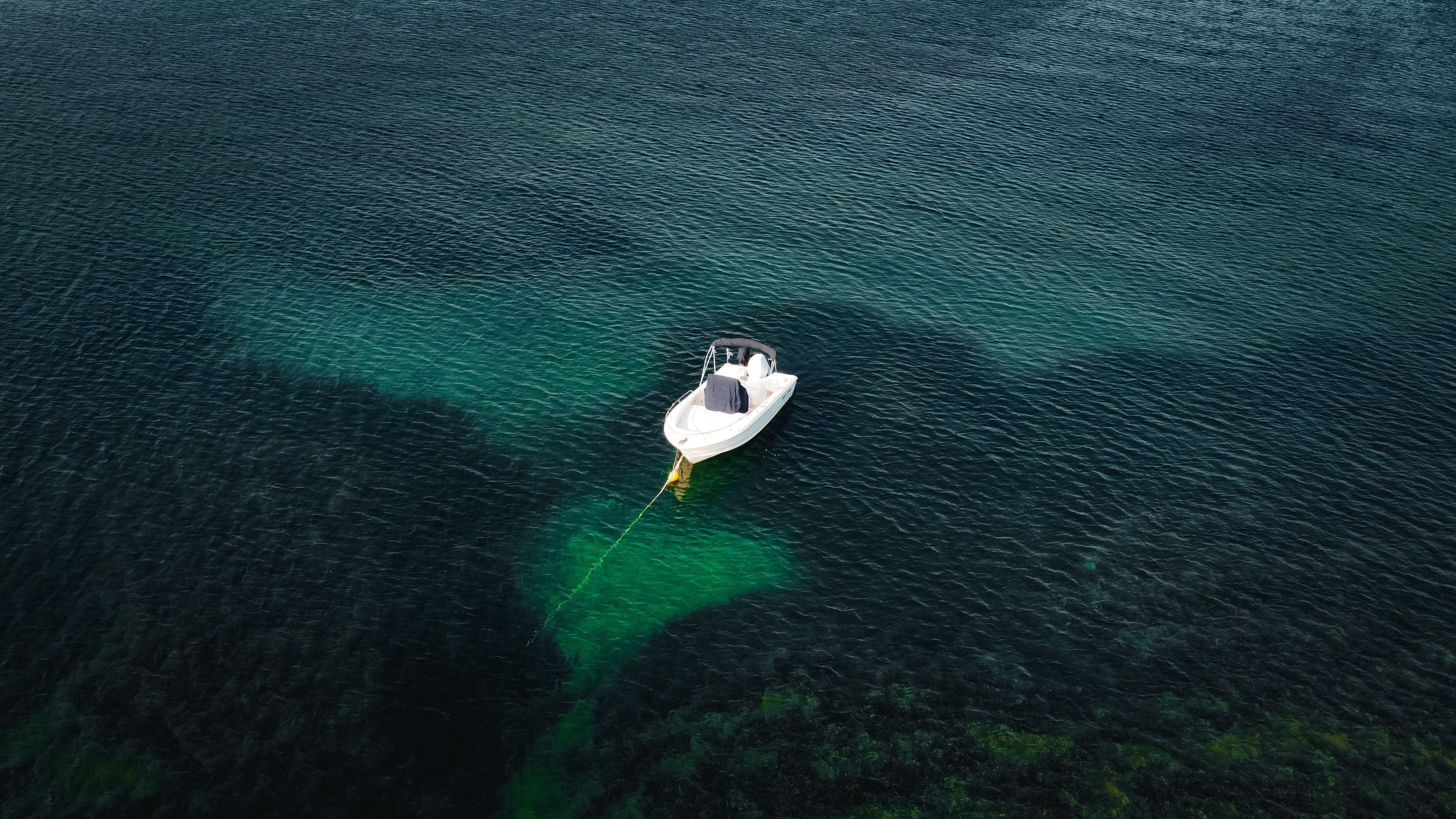 A boat is floating in the water with green algae · Free Stock Photo