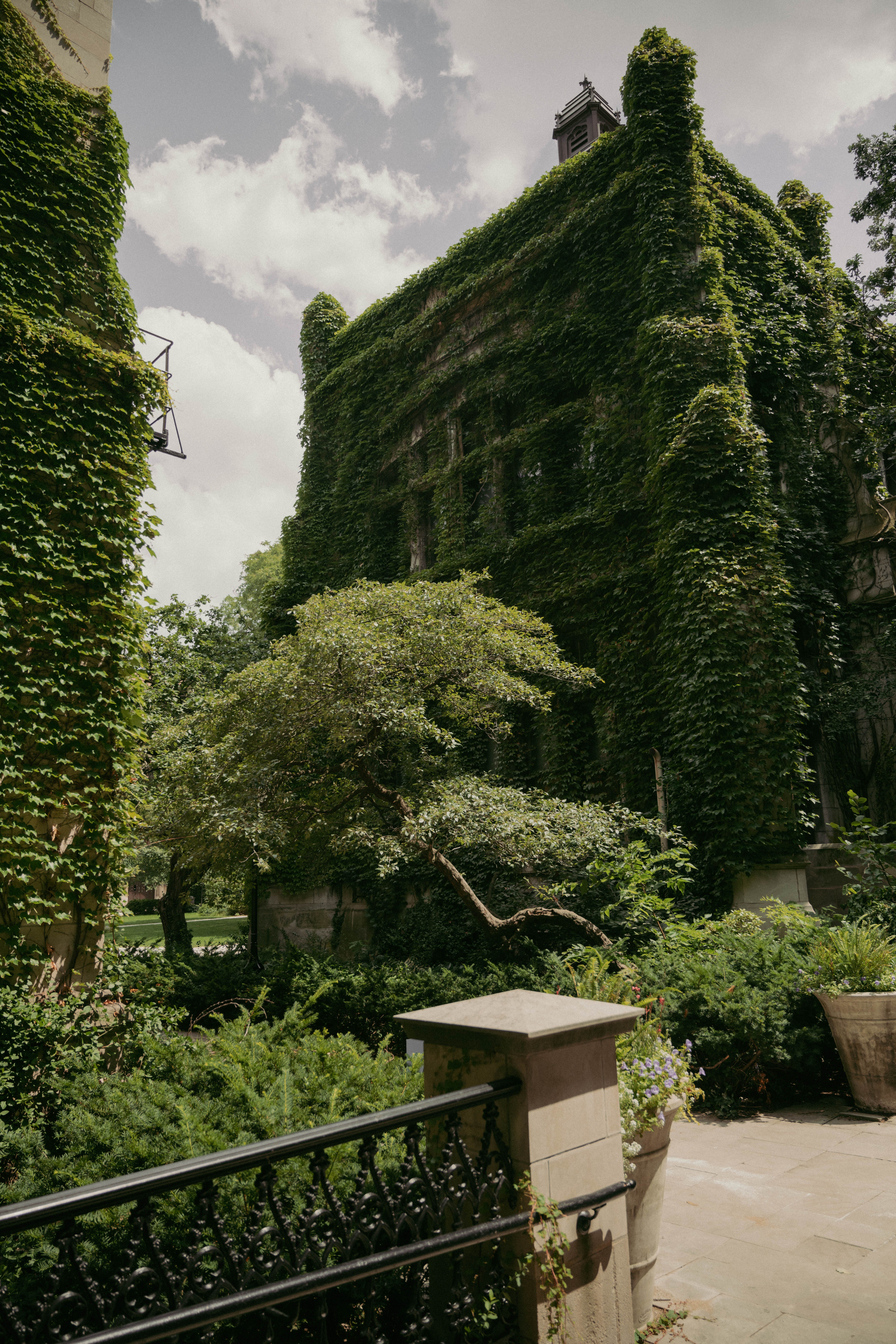 Exterior of a Building Overgrown with Ivy · Free Stock Photo