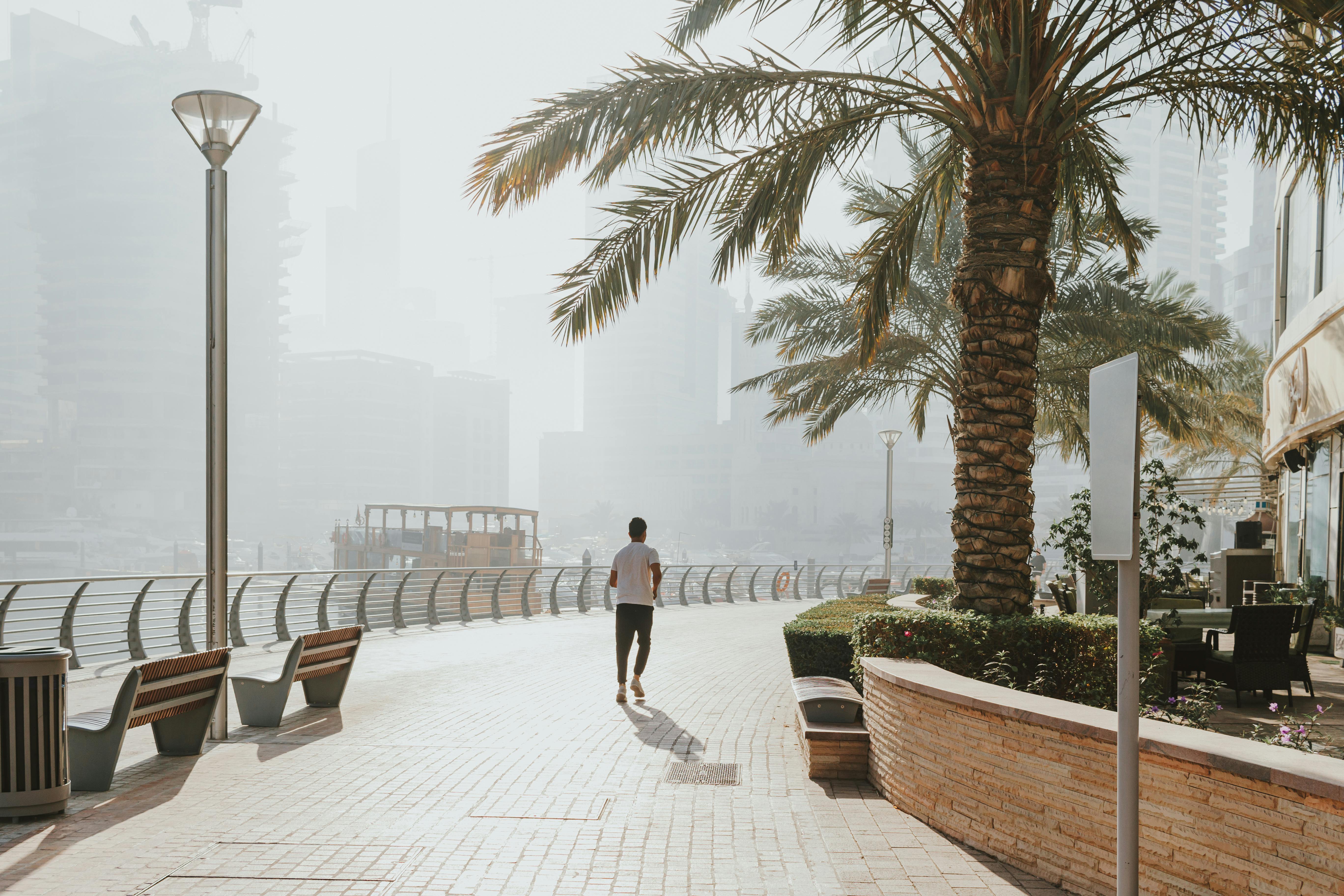 Morning waterfront promenade with palm trees and jogger on modern ...
