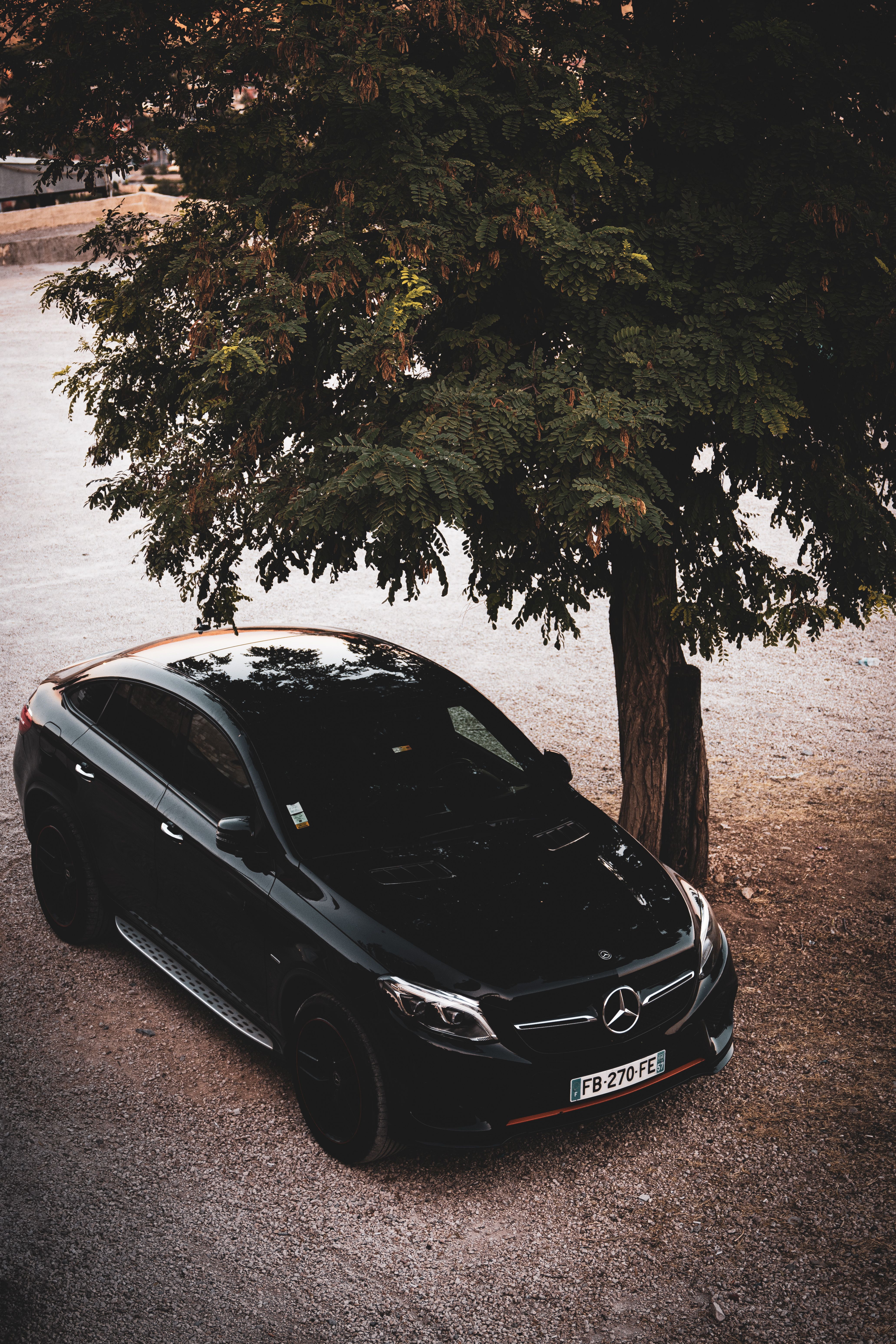Black Car Parked under a Tree · Free Stock Photo