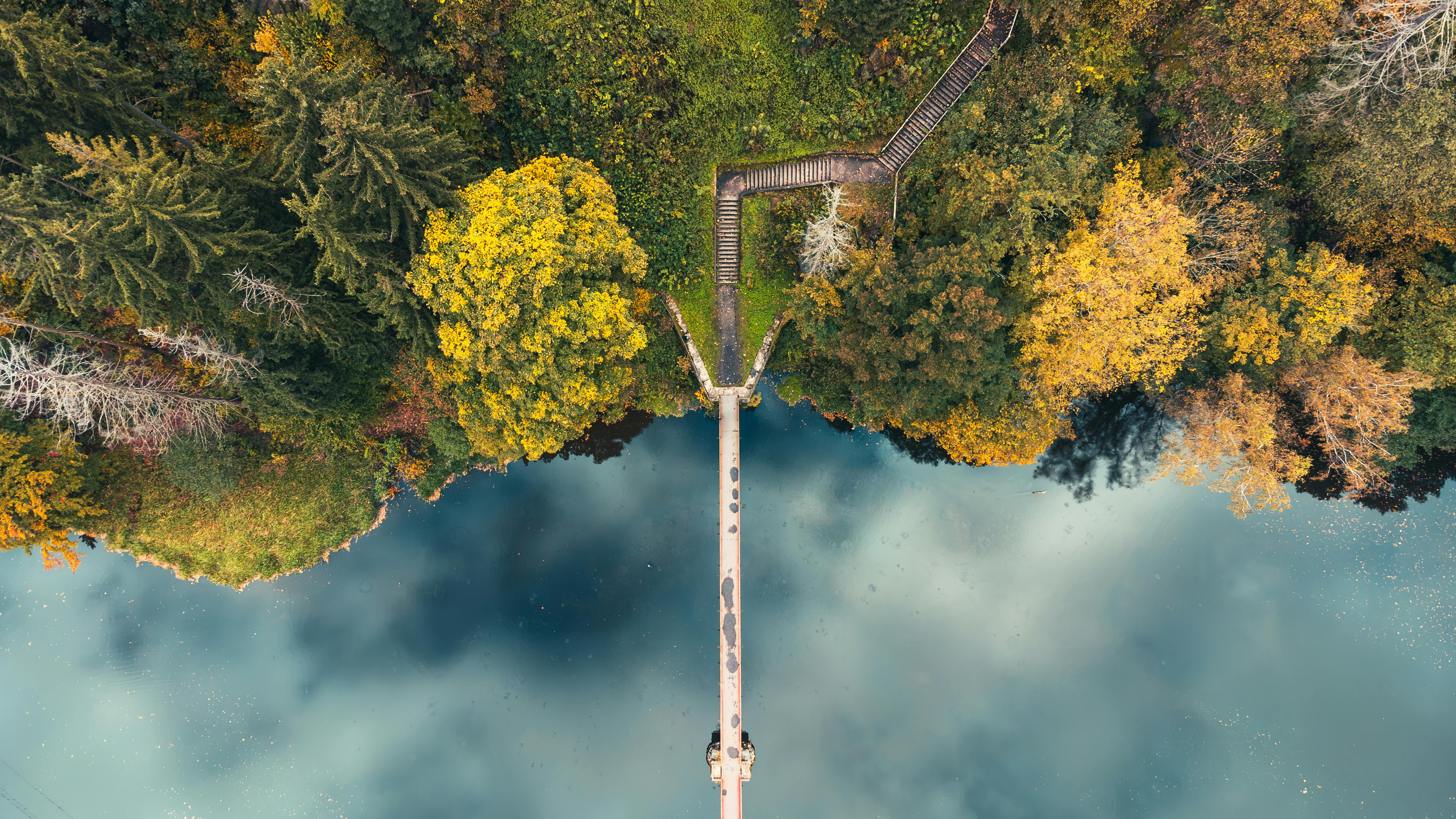Trees by the Lake Seen From Above · Free Stock Photo