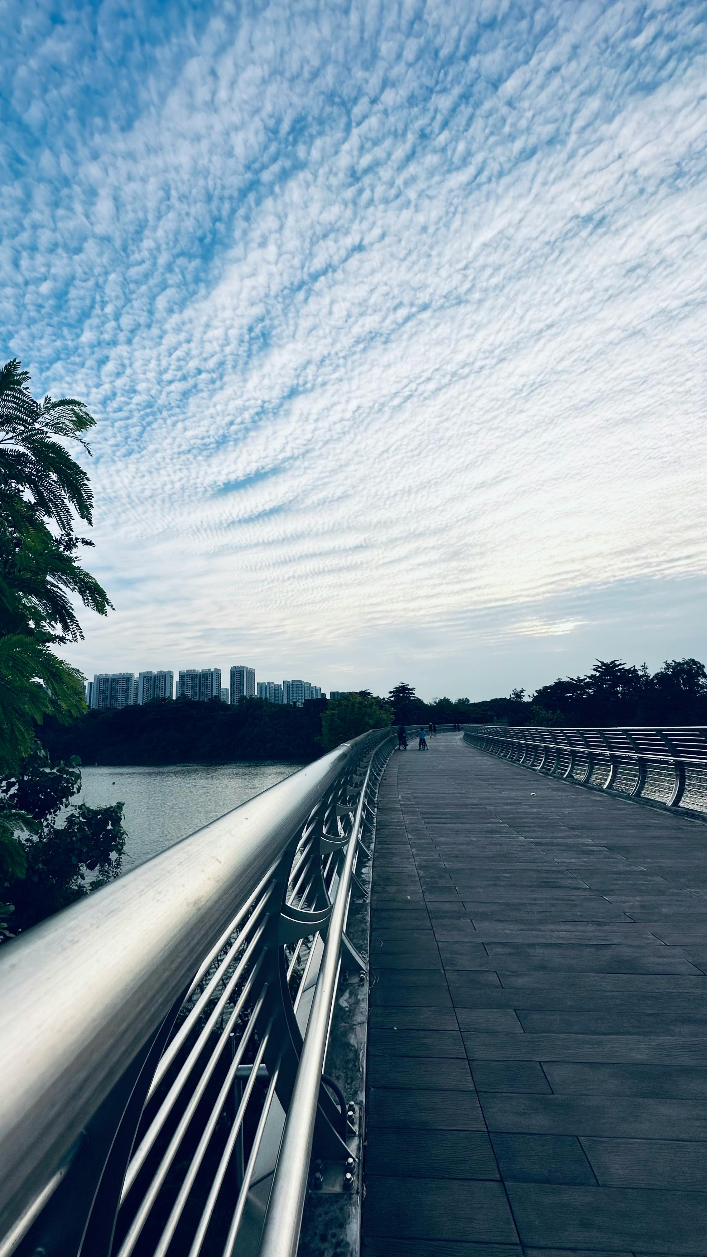 Alex Chew - Fotoğrafçılık