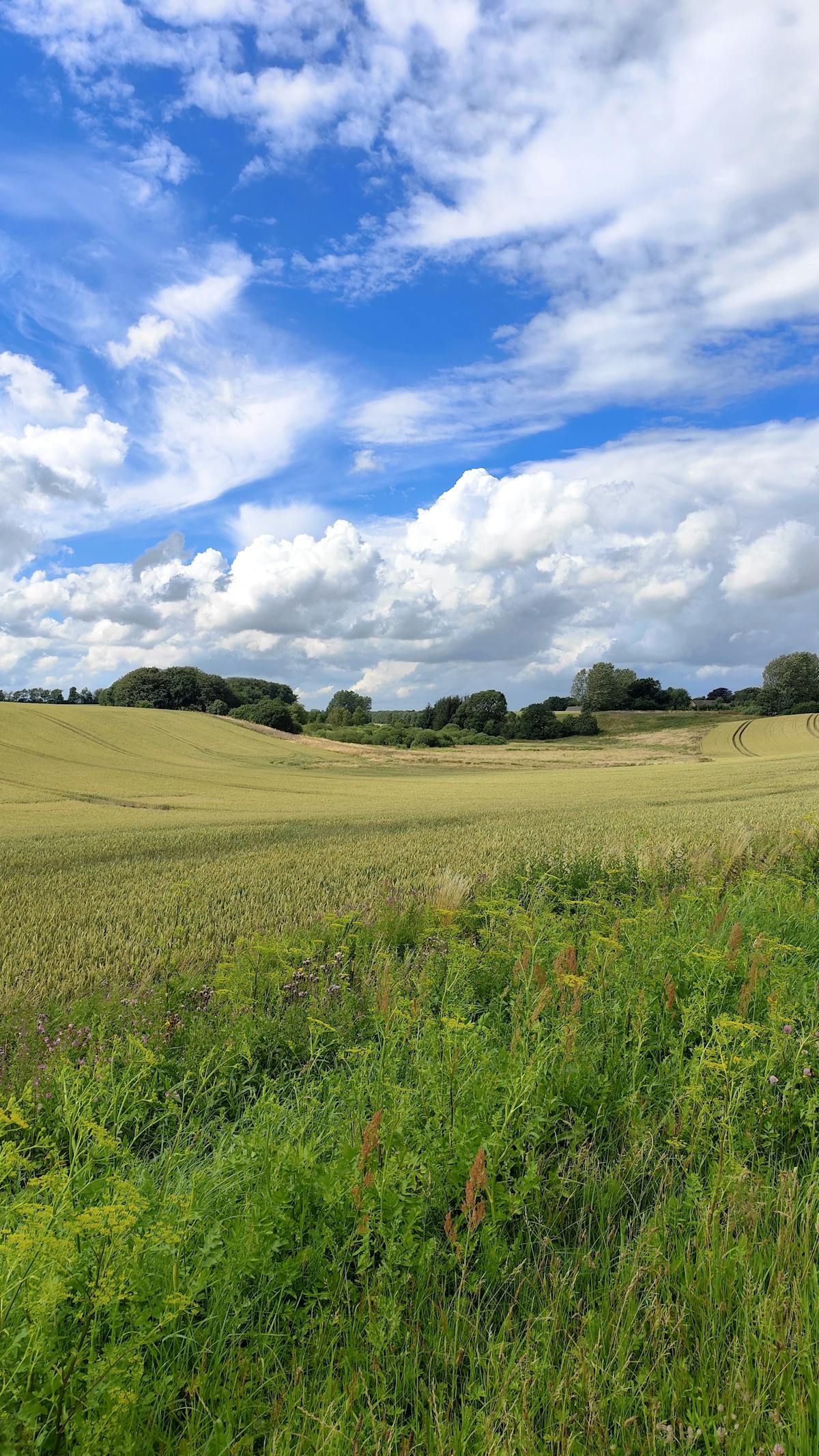 Lush Green Landscape Photos, Download The BEST Free Lush Green ...