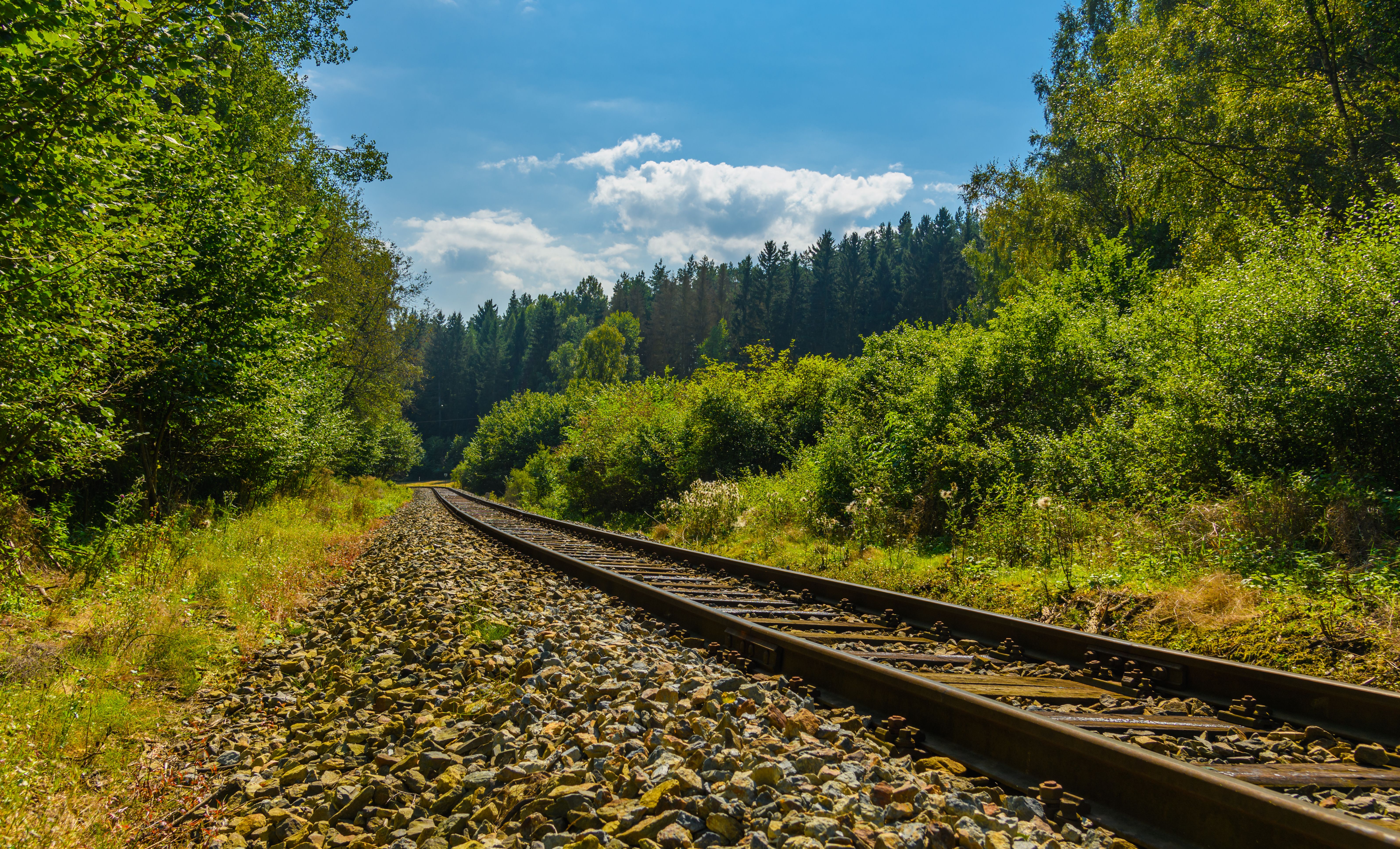 Train Tracks In a Green Area · Free Stock Photo