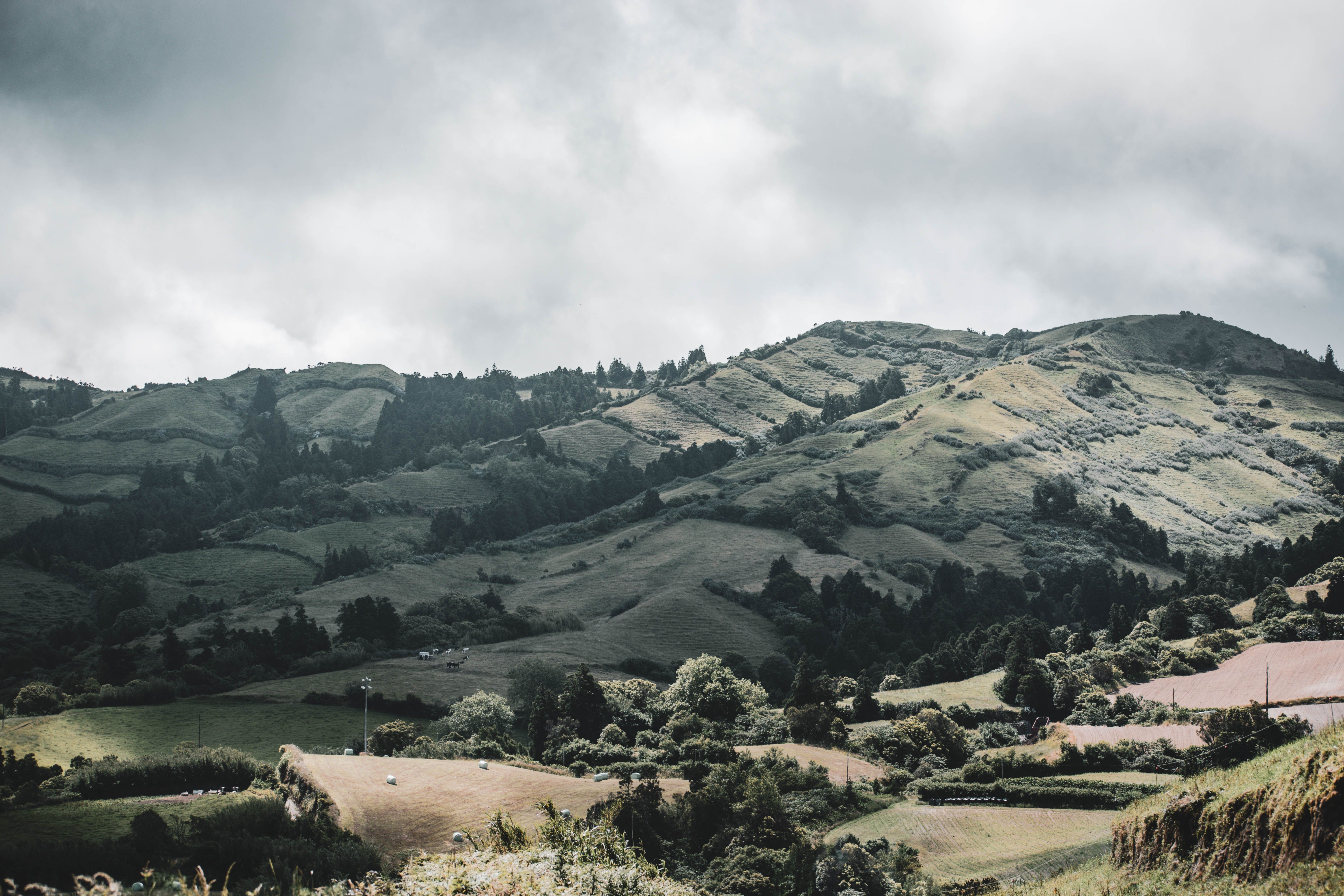 Rural Upland Landscape · Free Stock Photo