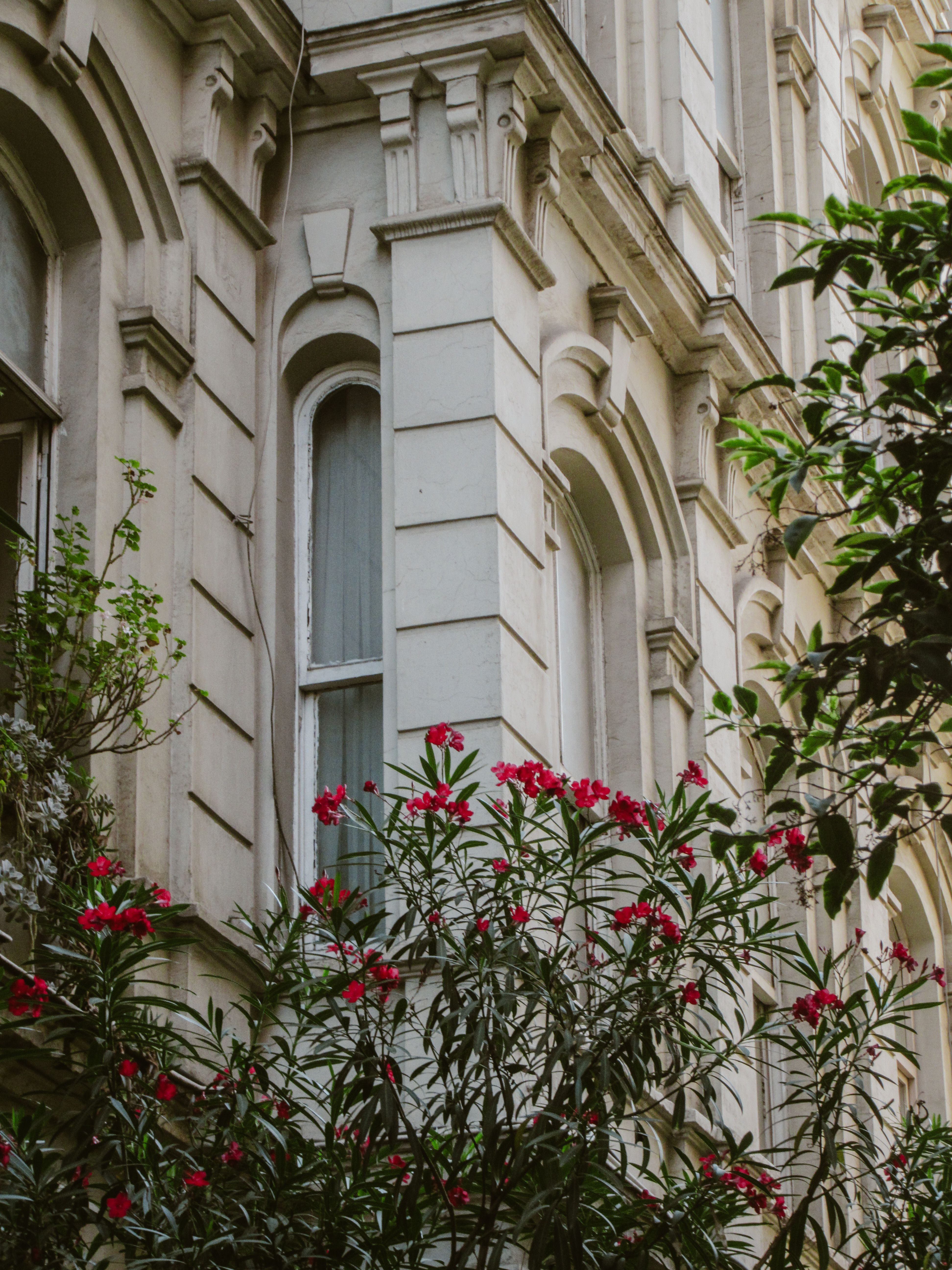 A building with flowers growing in front of it · Free Stock Photo