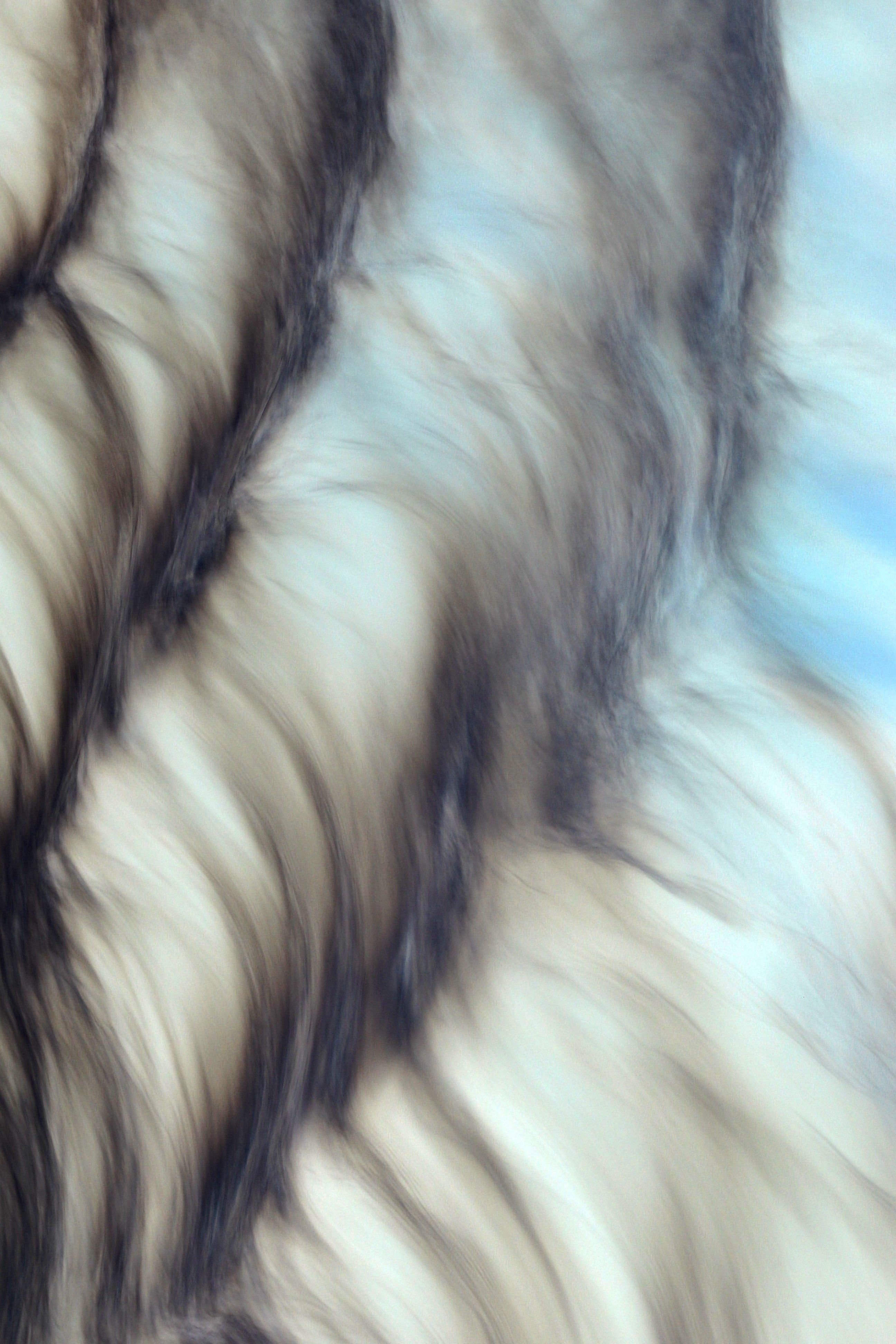 Abstract, Blurred Shape · Free Stock Photo
