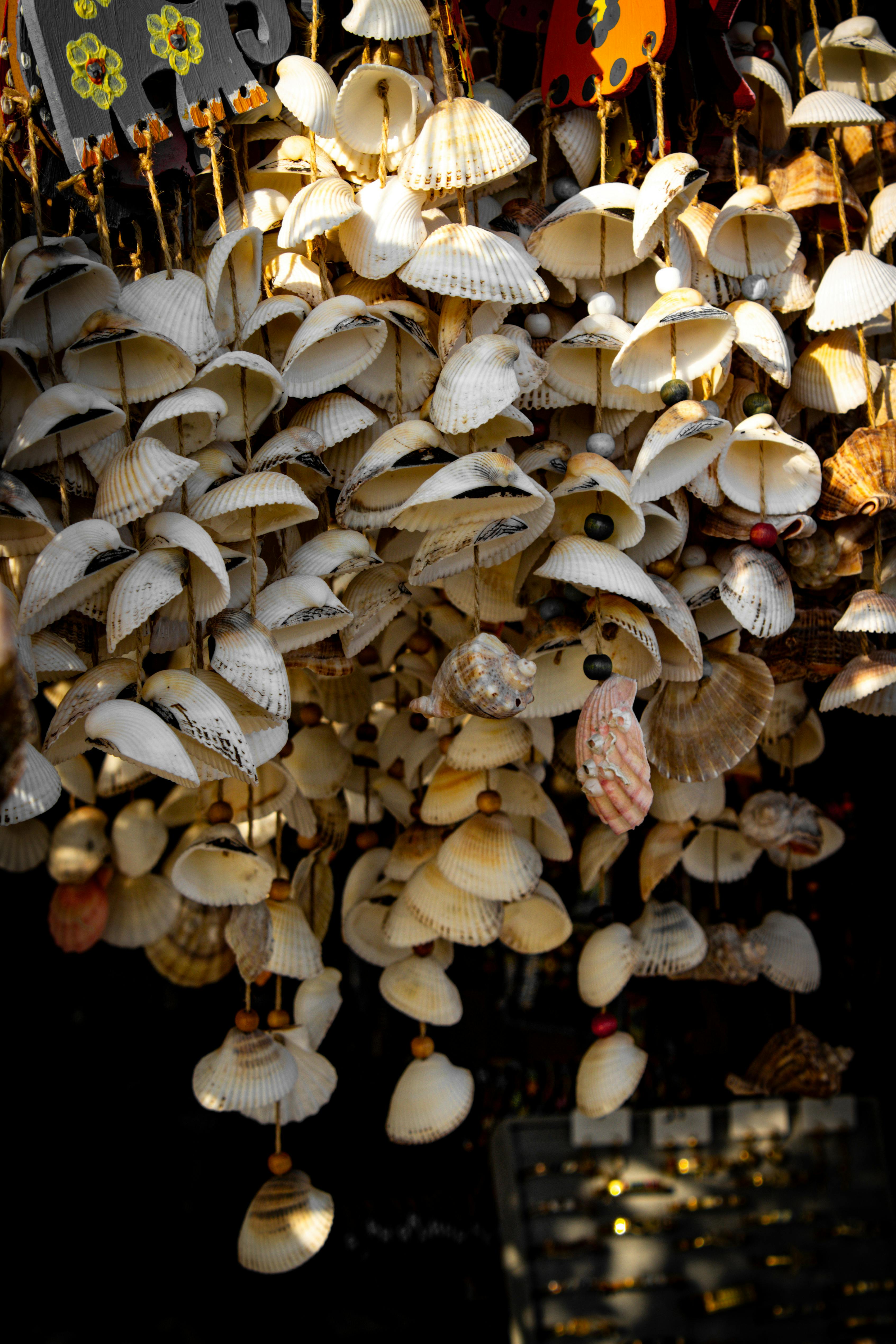 Foto de stock gratuita sobre abalorios, adornos de concha, arte, arte y ...