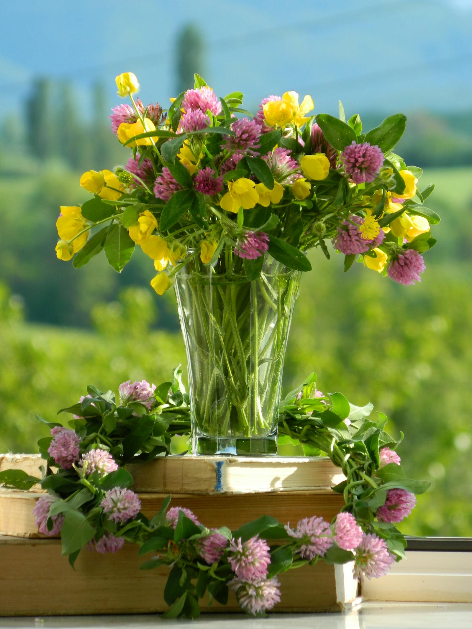 Vase Of Flowers Photos, Download The BEST Free Vase Of Flowers Stock ...
