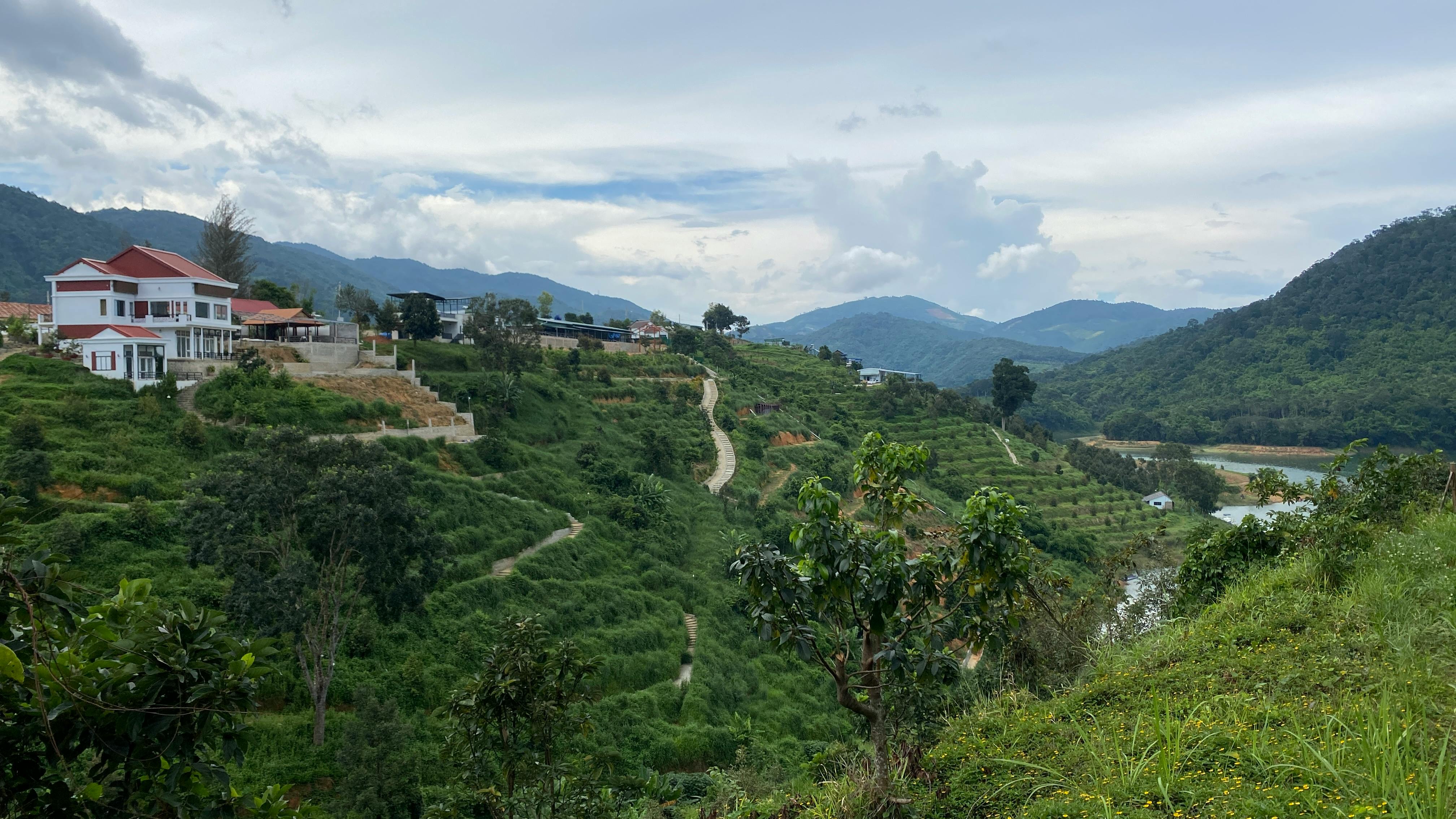 Ambam Gorilla - 사진