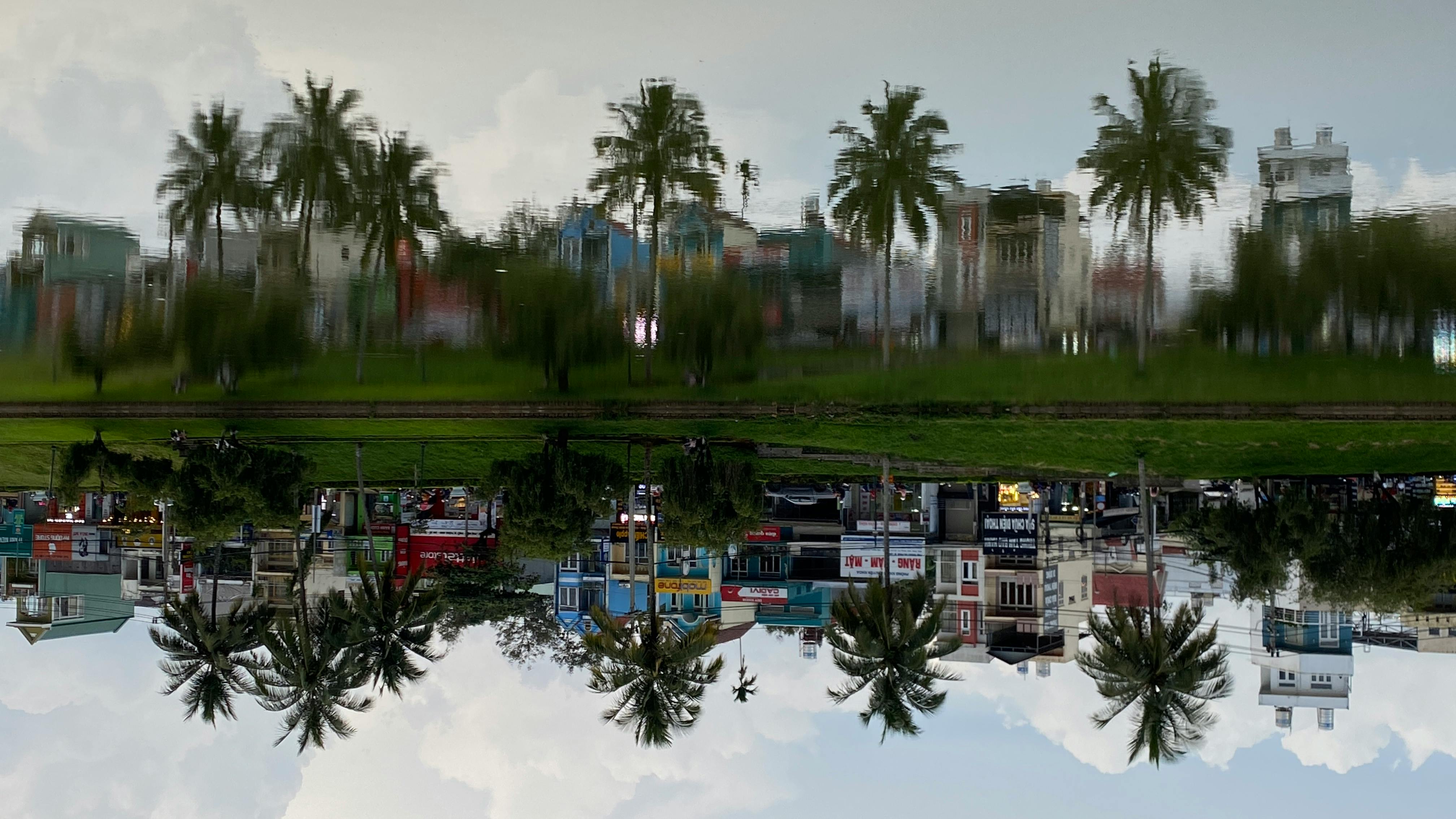 Ambam Gorilla - 사진