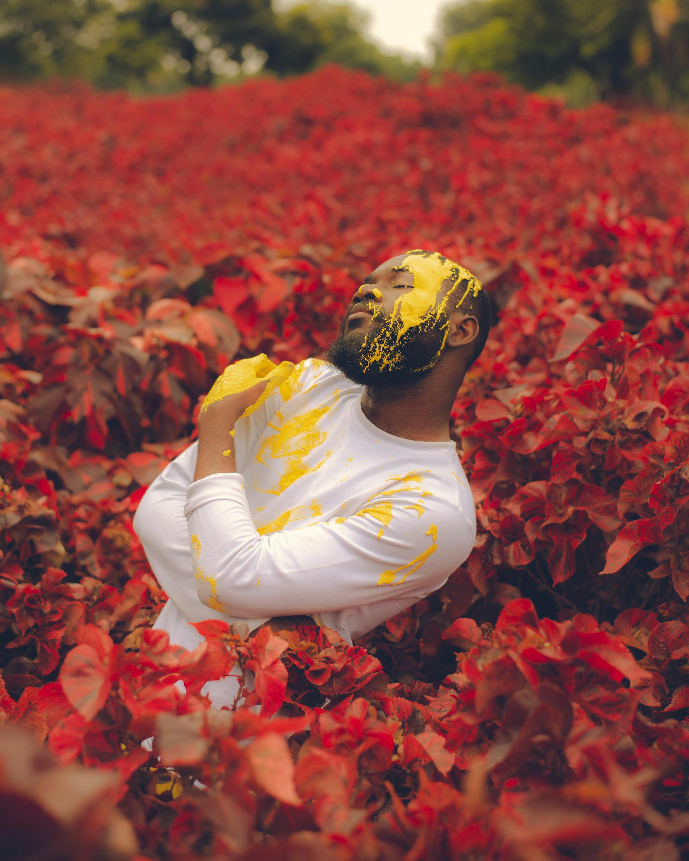 Fondo De Pantalla Animado Color: Violeta Photos, Download The BEST Free ...