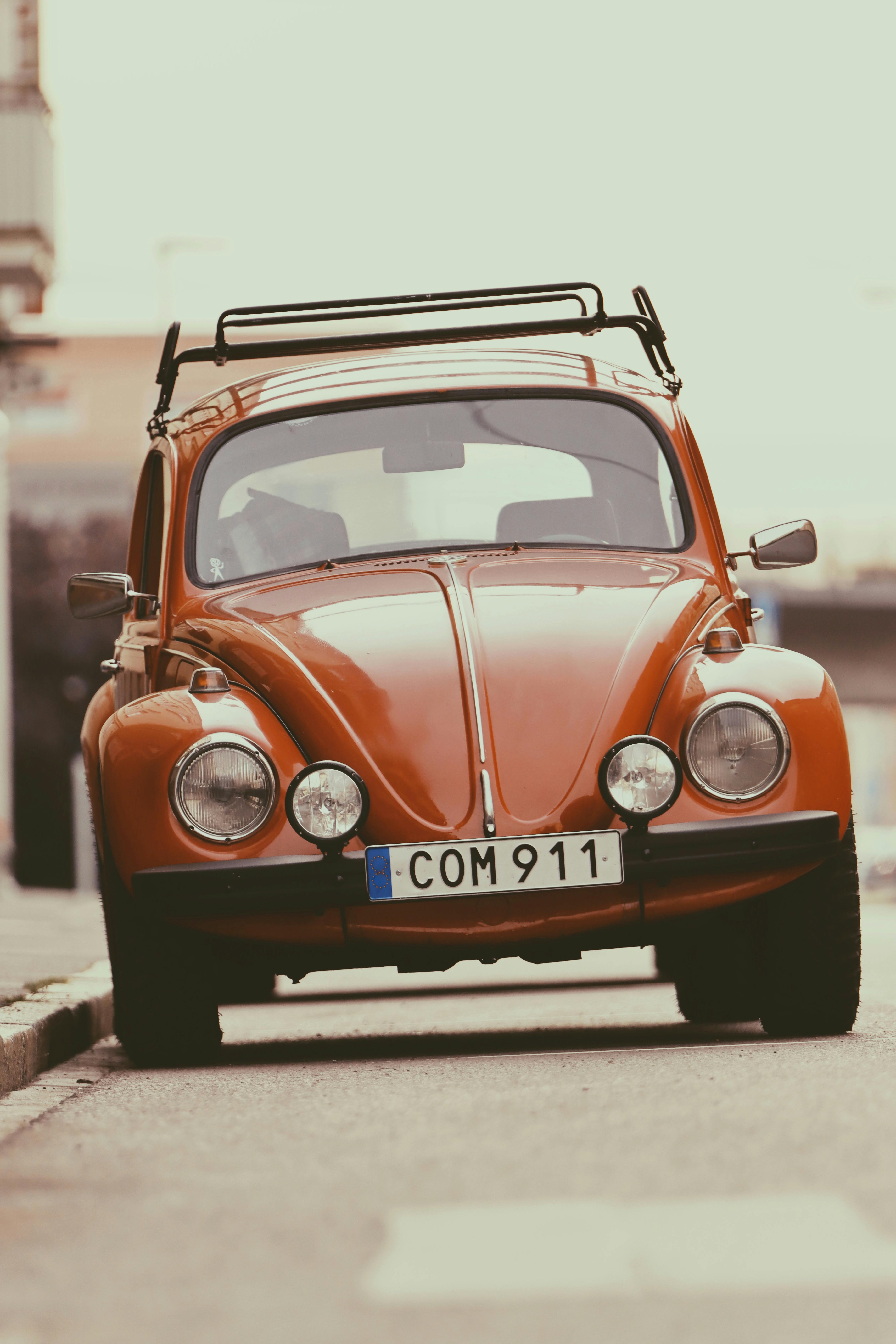 Vintage Beetle Photos, Download The BEST Free Vintage Beetle Stock ...