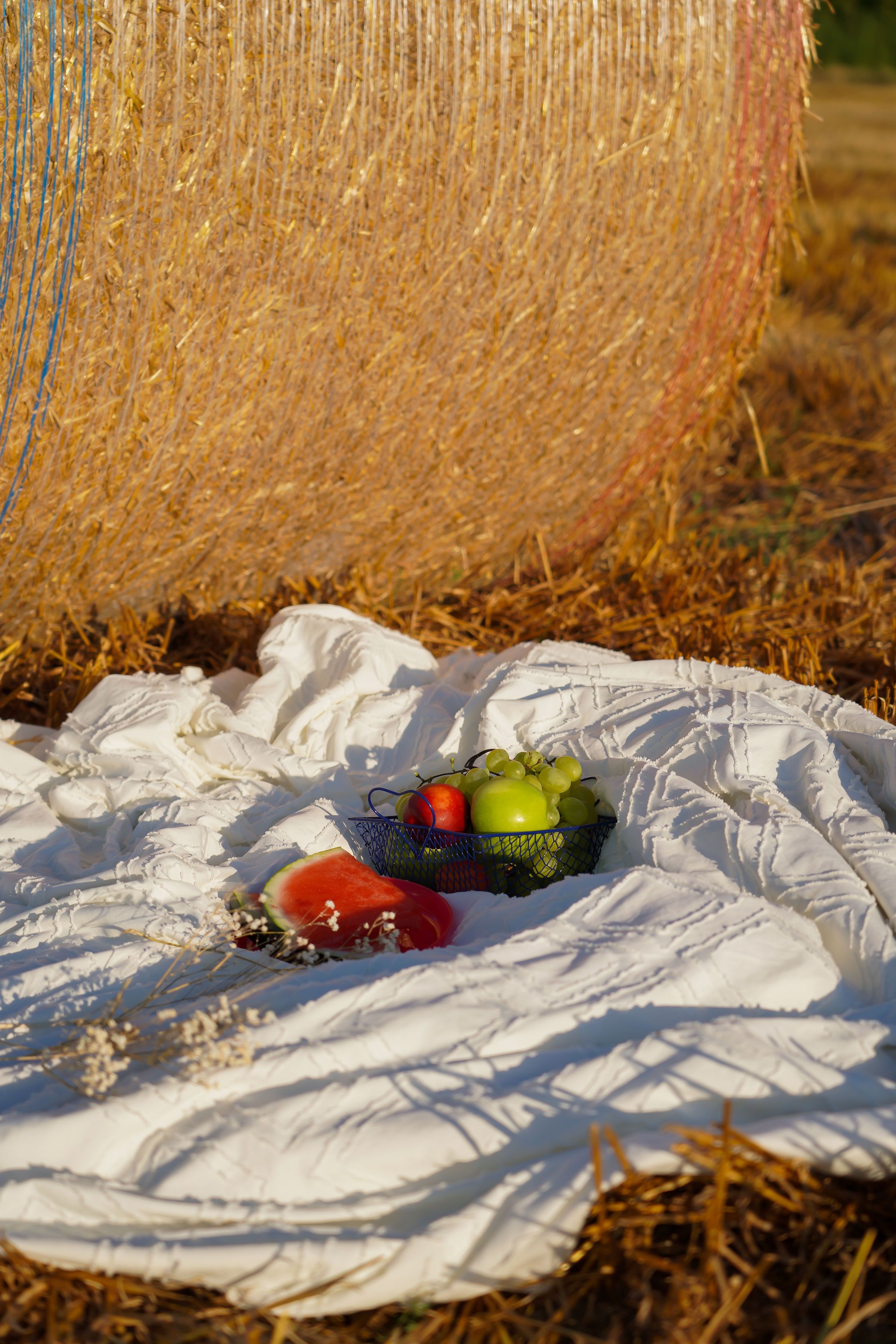 Bale Fruit Photos, Download The BEST Free Bale Fruit Stock Photos & HD ...