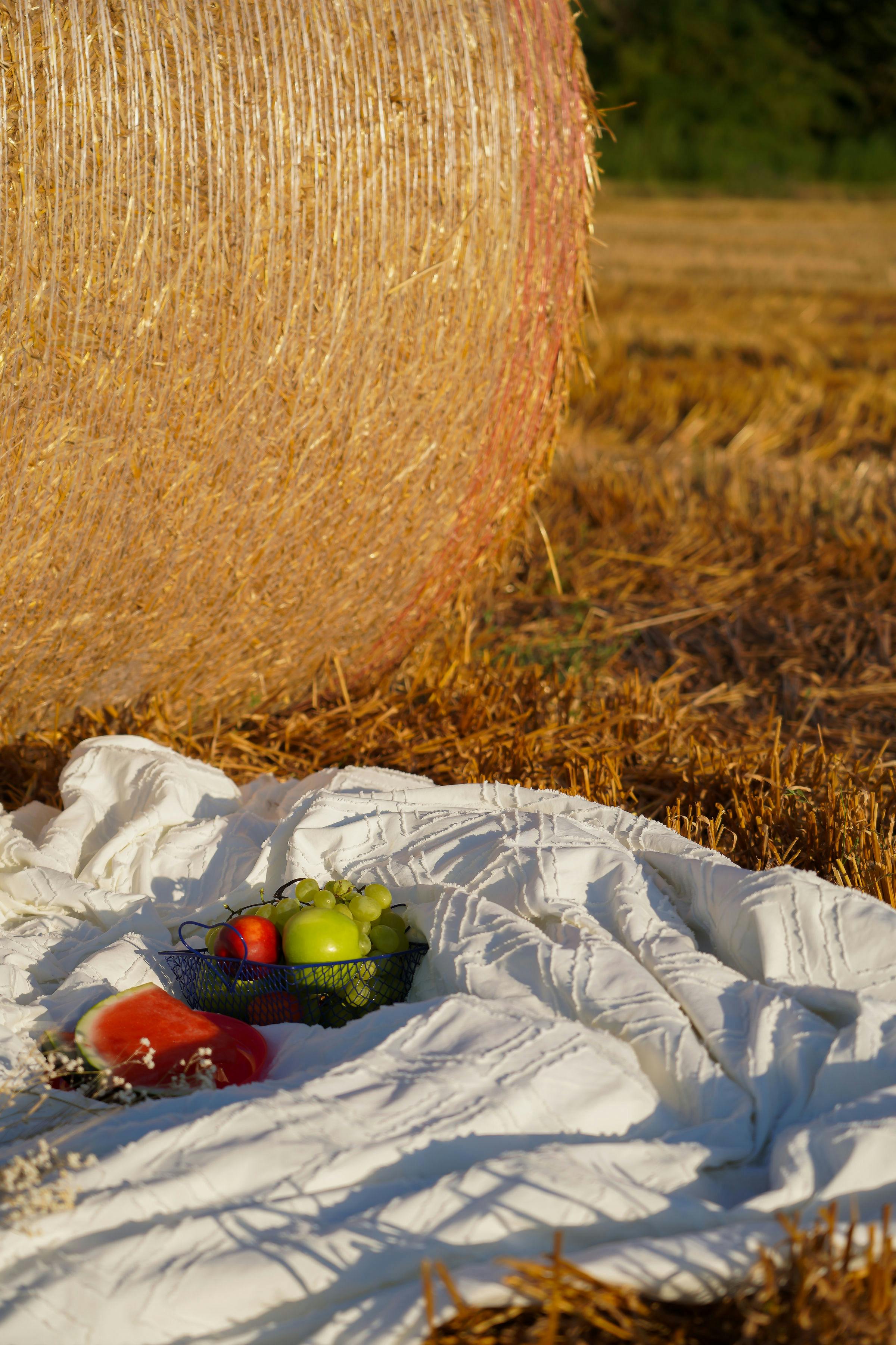 Field Questionnaire Survey Photos, Download The BEST Free Field ...