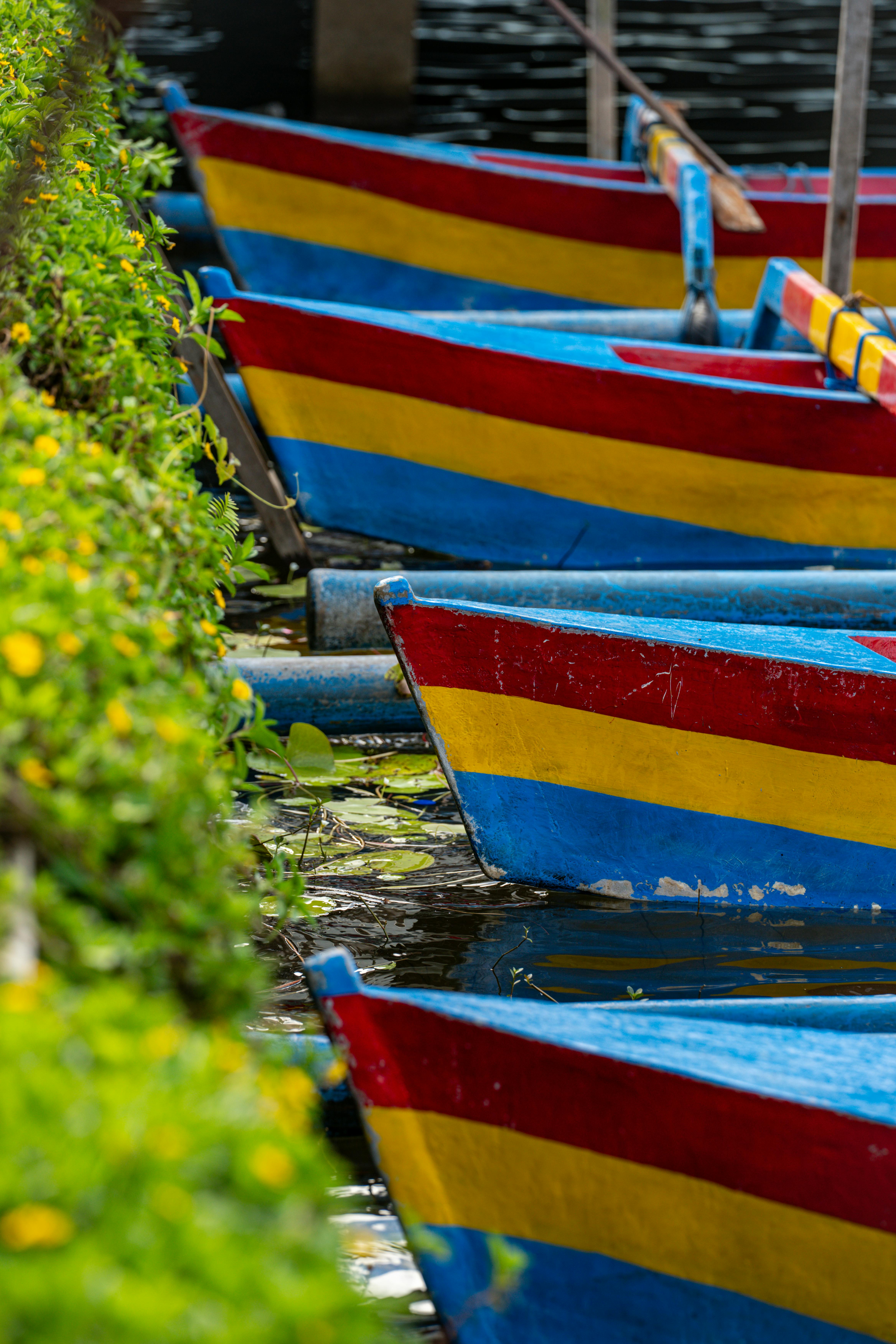 Colorful Boats on Lakeshore · Free Stock Photo
