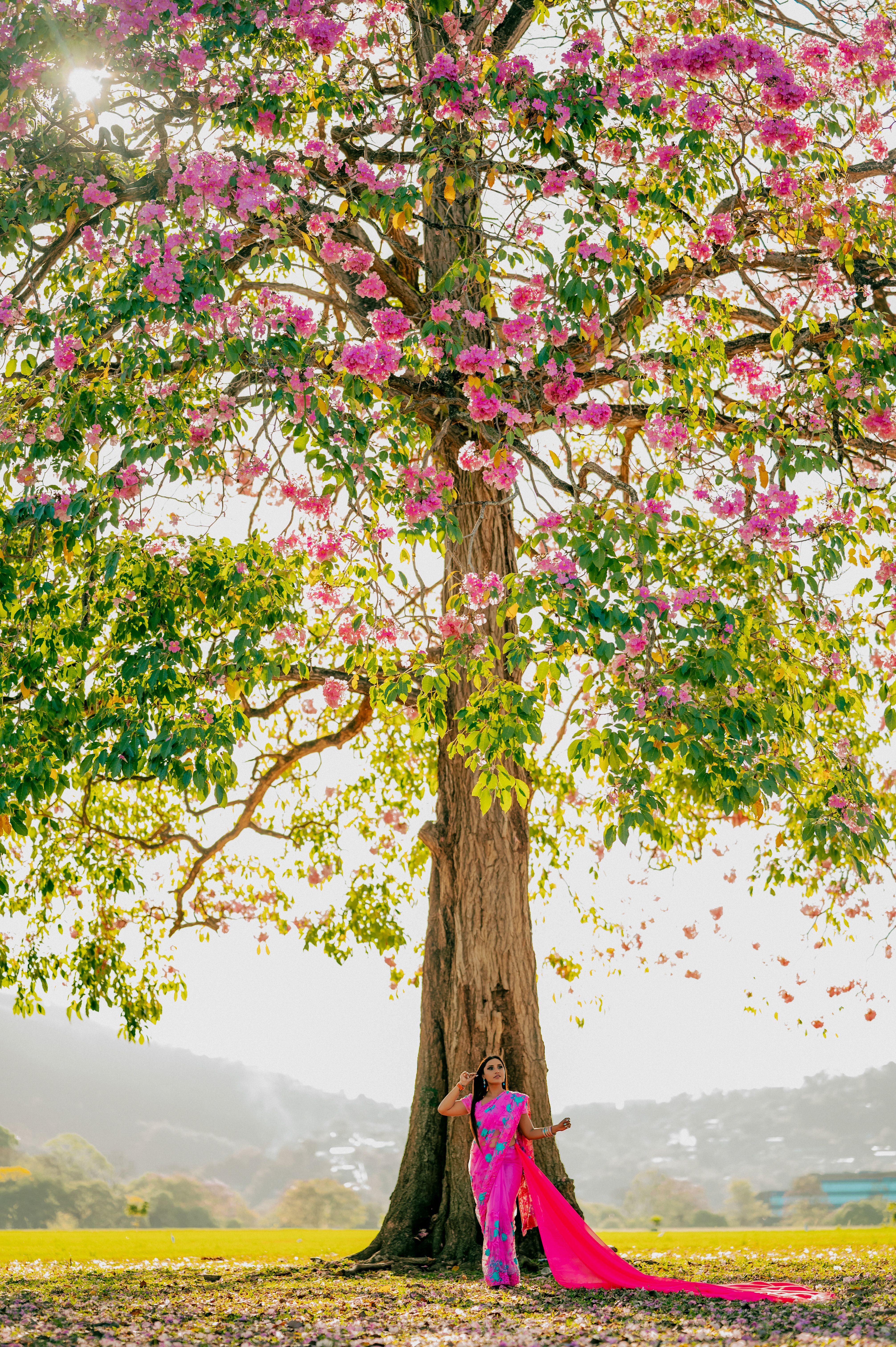 A woman in pink dress standing under a tree · Free Stock Photo