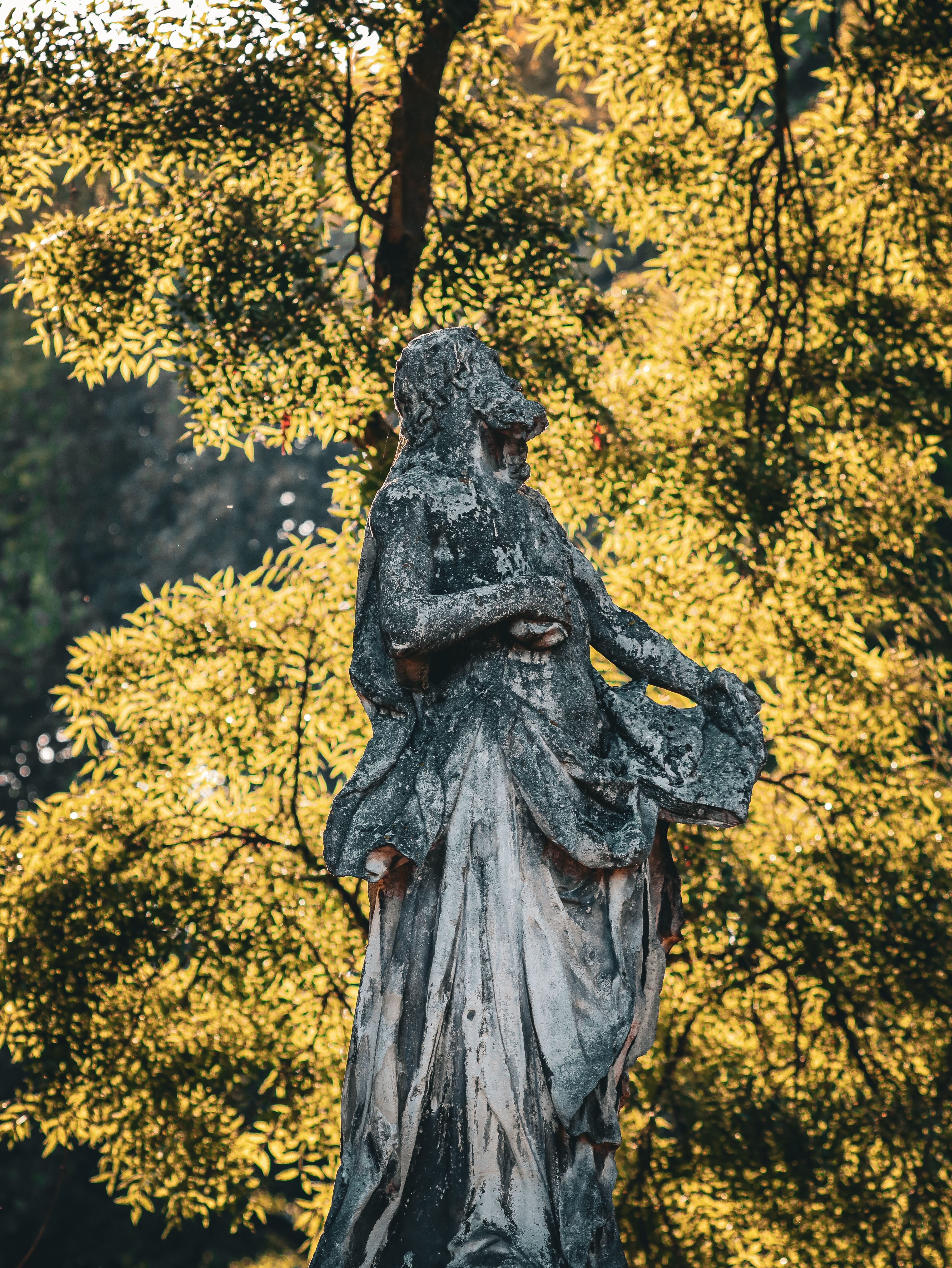 Old Weathered Statue Standing against Autumn Tree Branches · Free Stock ...