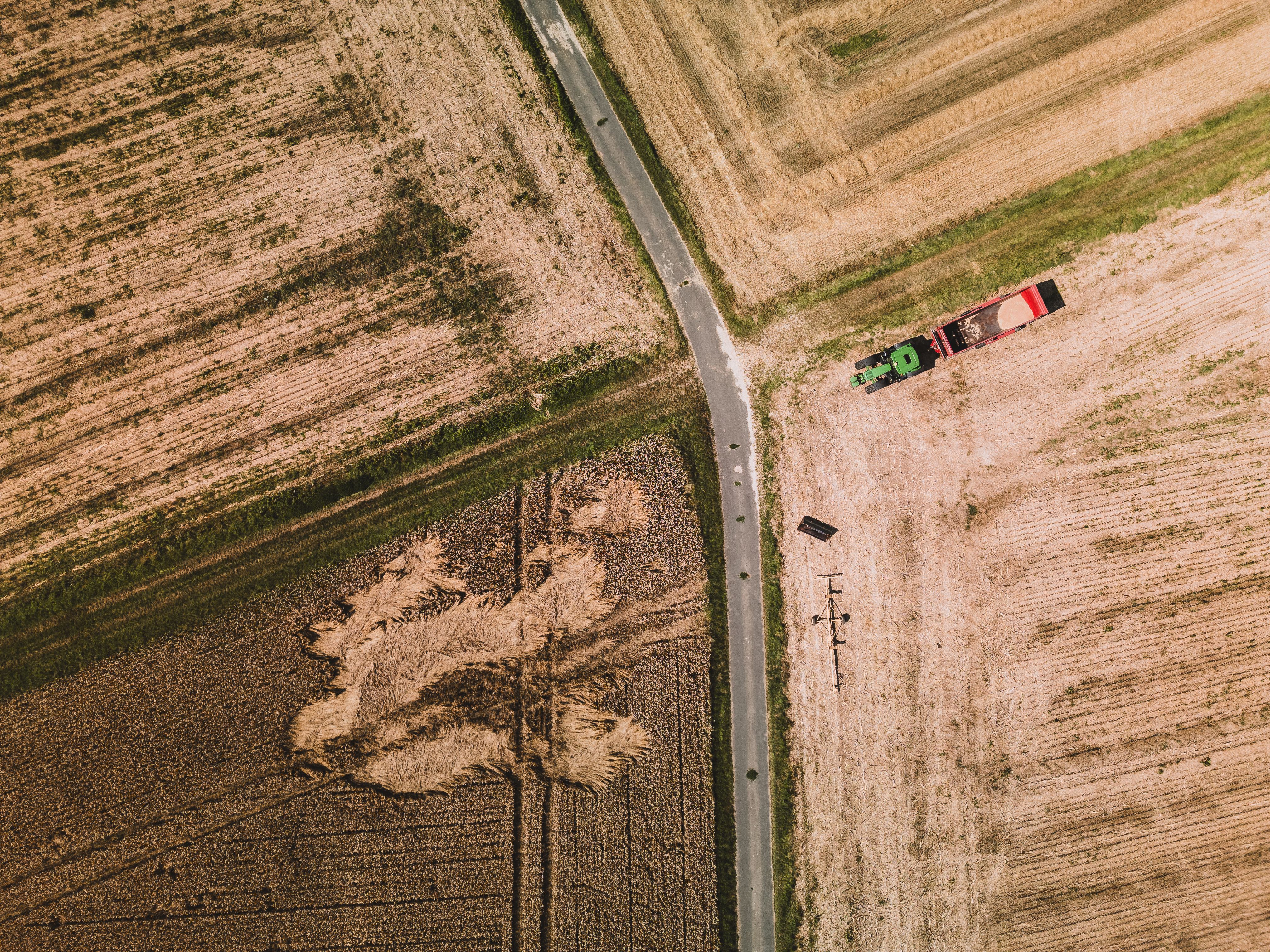 Field Shapes Photos, Download The BEST Free Field Shapes Stock Photos ...