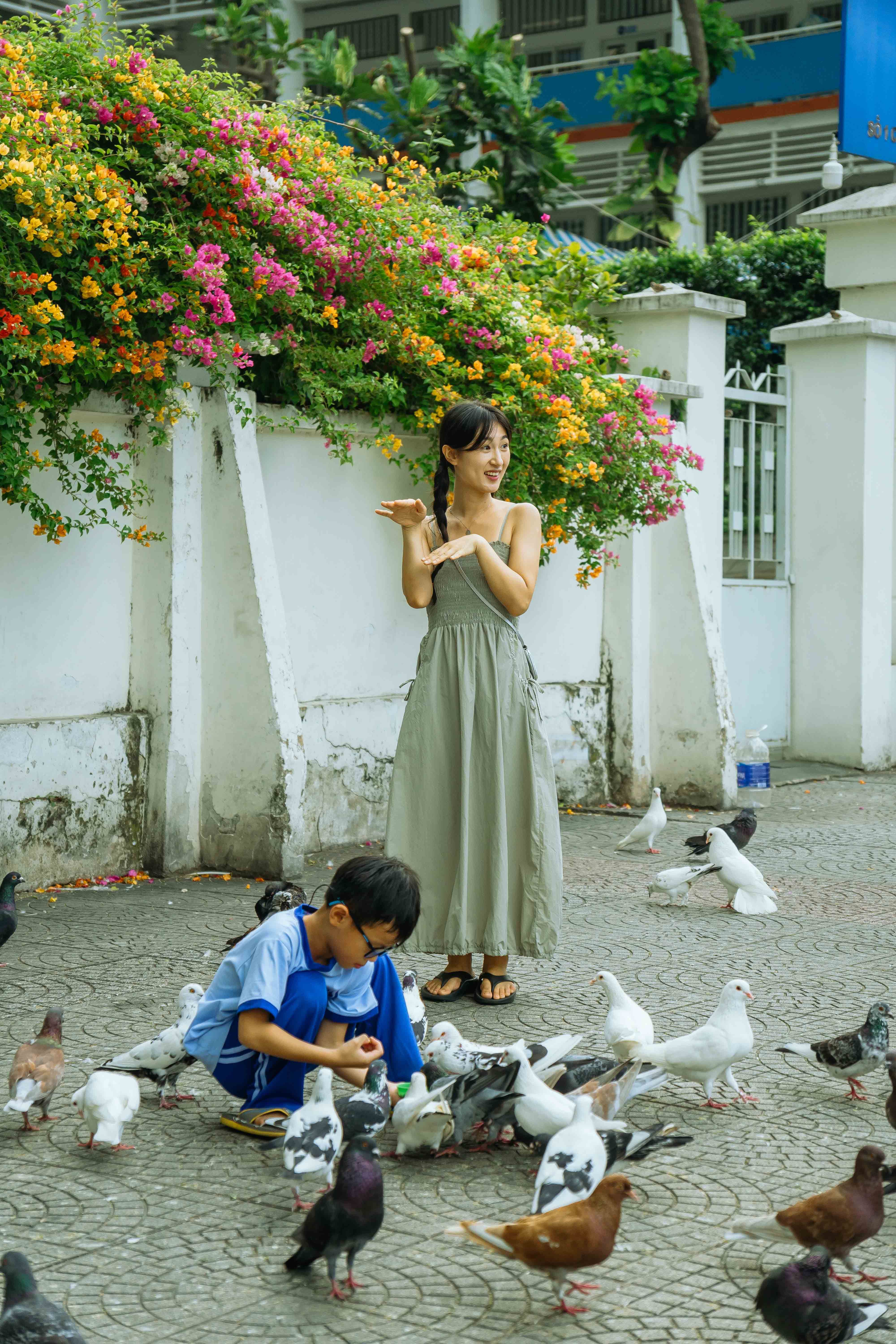 Pigeon With Kids Photos, Download The BEST Free Pigeon With Kids Stock ...