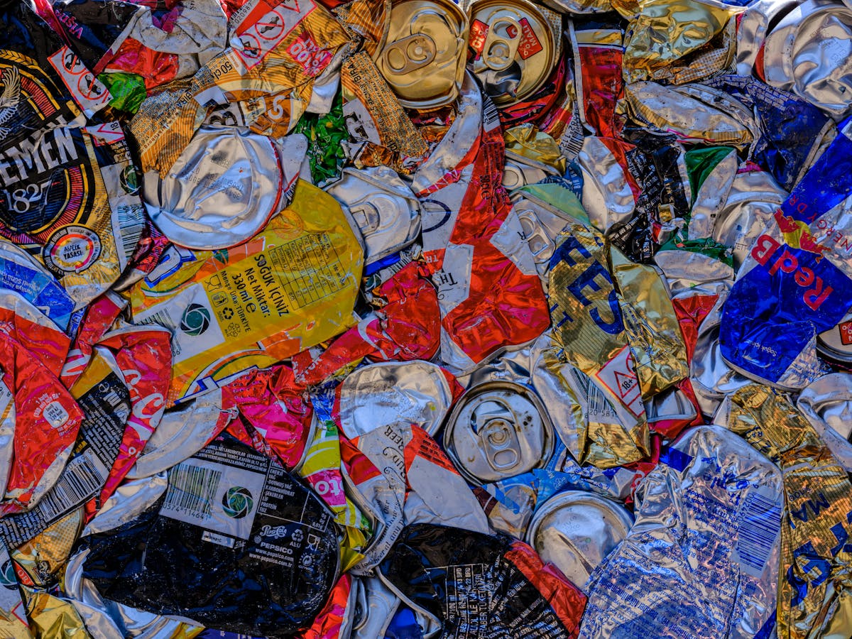 Trash Can Images Photos, Download The BEST Free Trash Can Images Stock ...