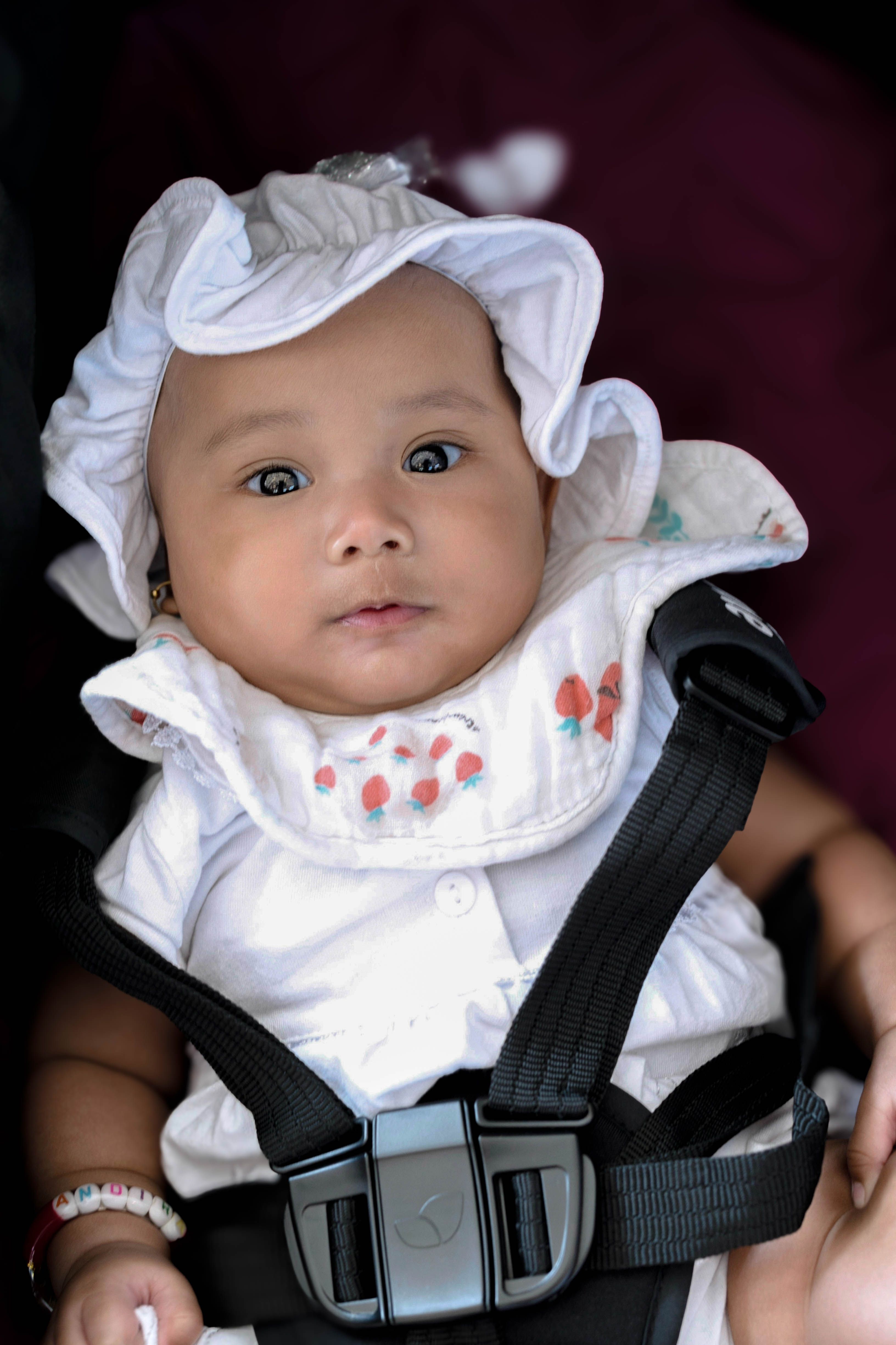 Buckle Up Baby Photos, Download The BEST Free Buckle Up Baby Stock ...