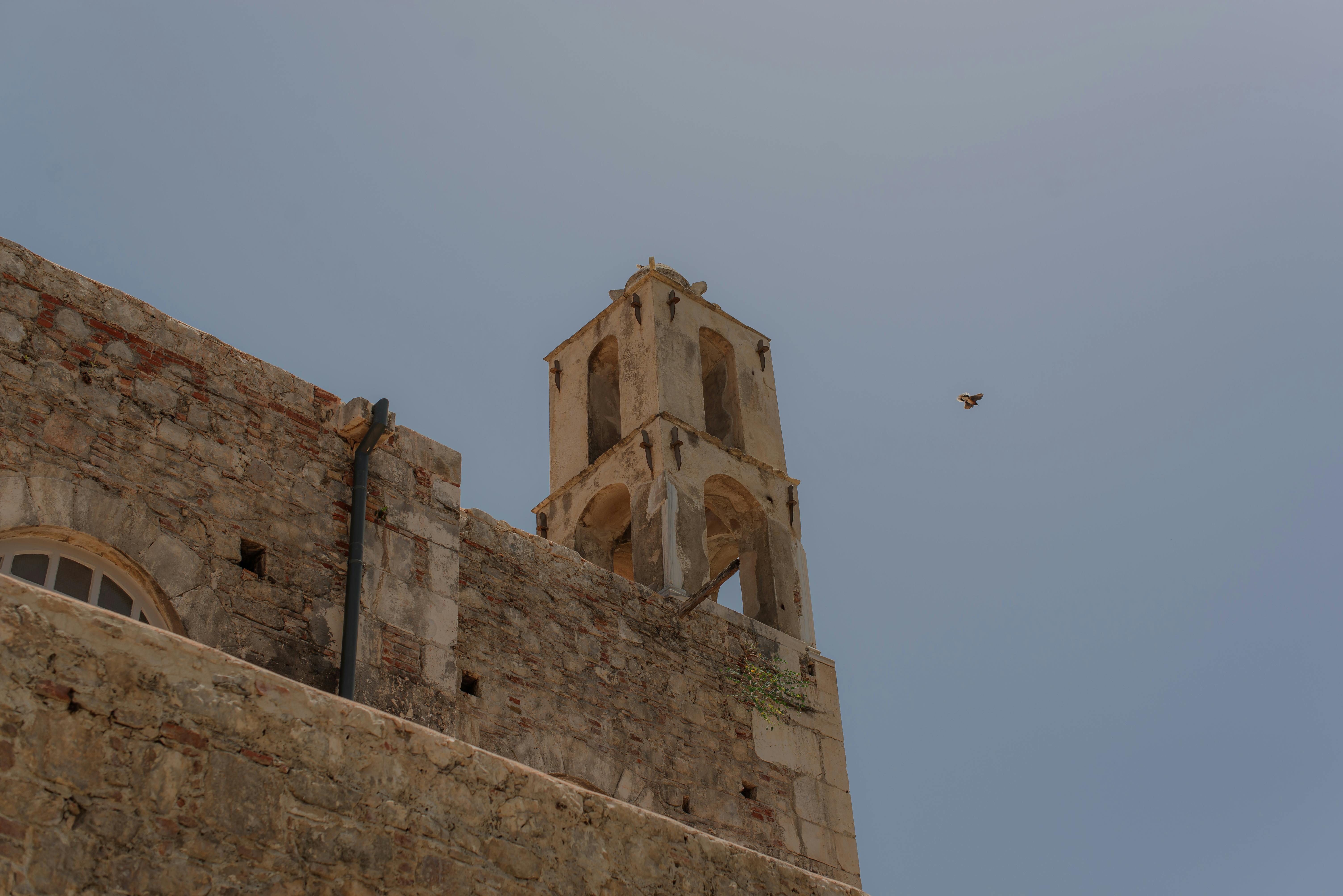 A bird flying over a church tower · Free Stock Photo