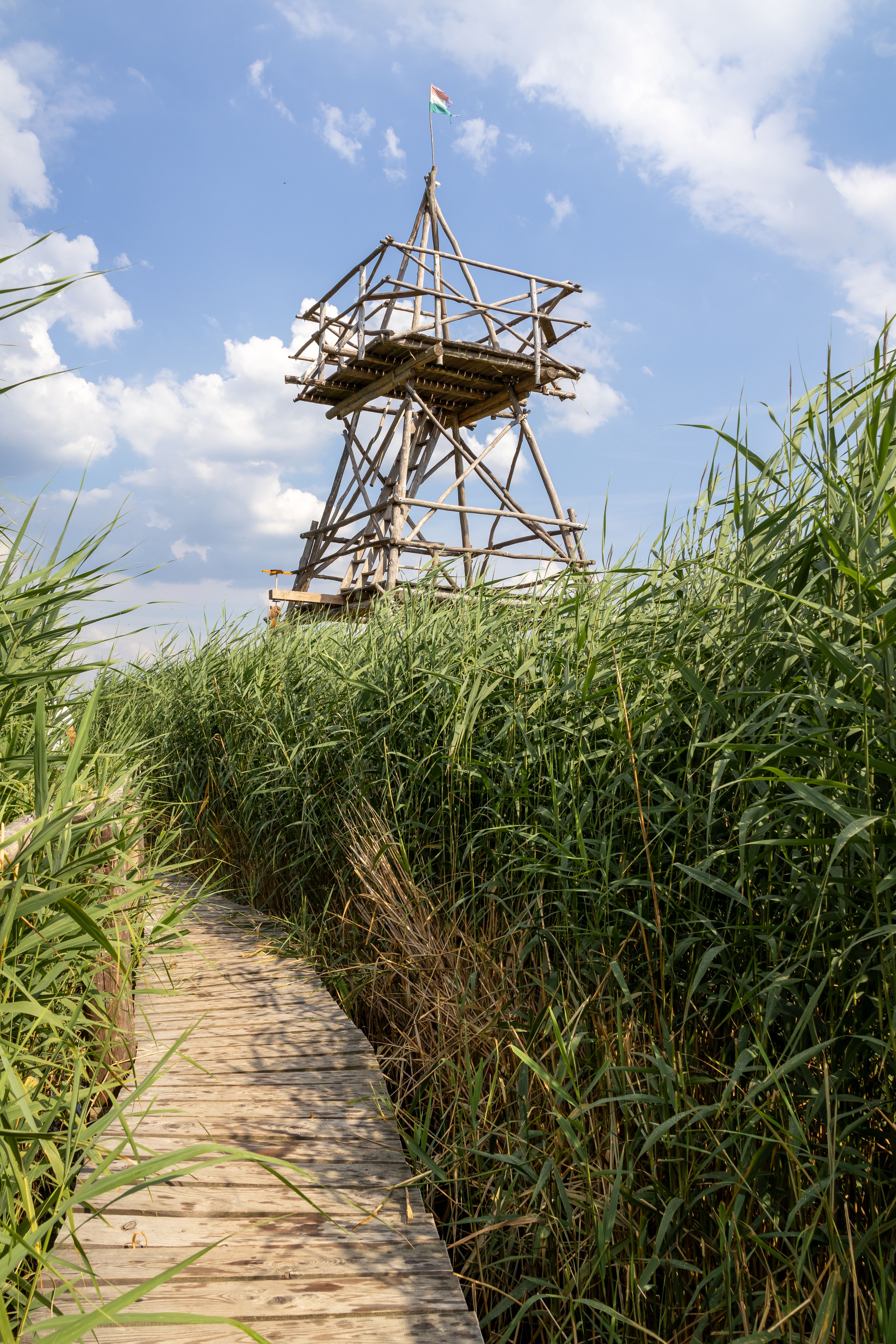 A Wooden Walkway between Reed and an Observation Tower in the ...