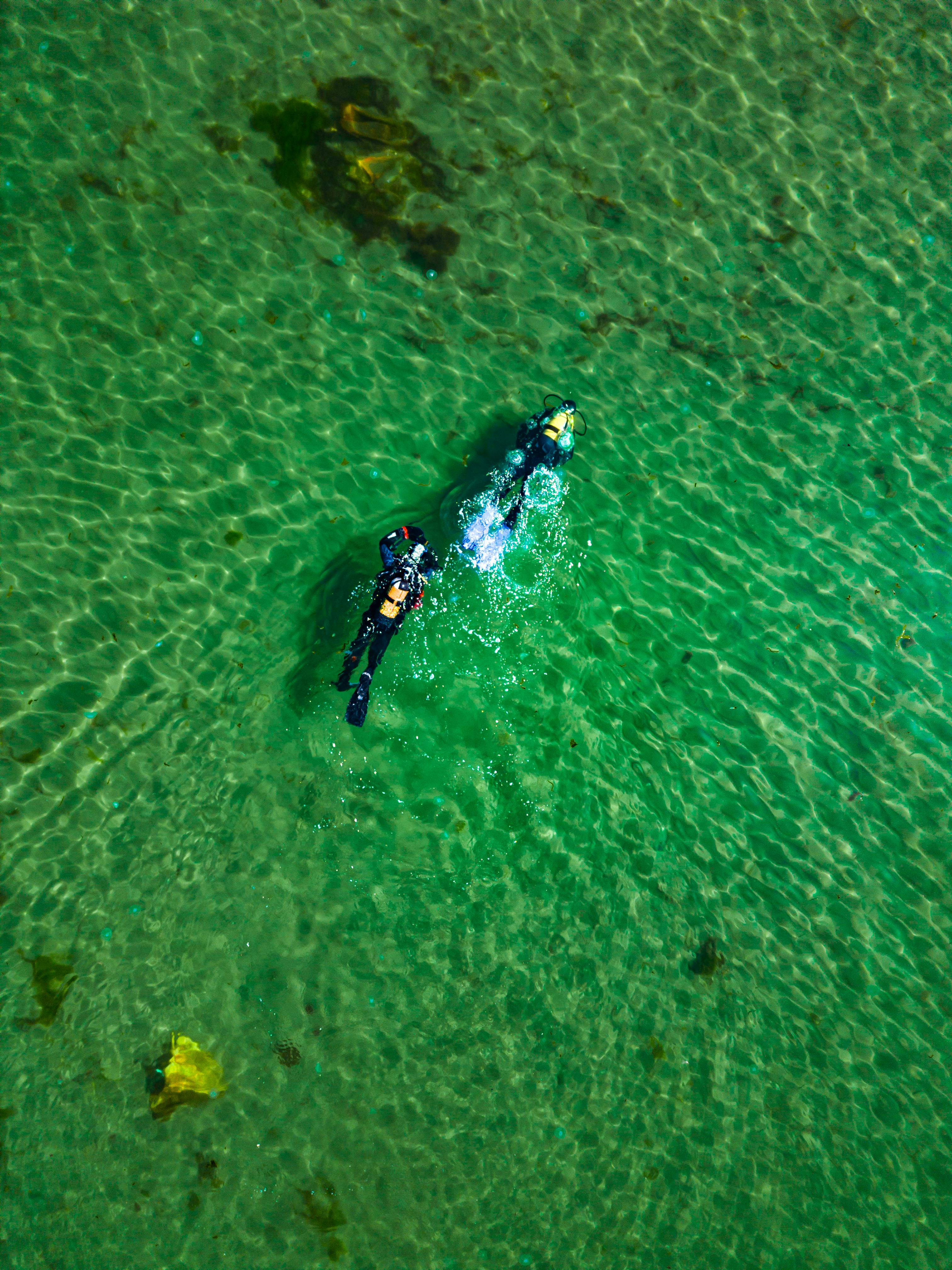 Aerial View of Two People Scuba Diving in the Ocean · Free Stock Photo